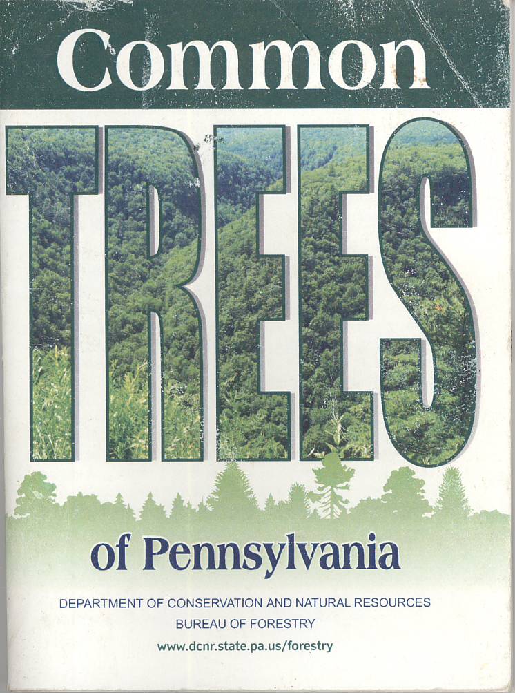Common Trees of Pennsylvania by Department of Conservation & Natural ...