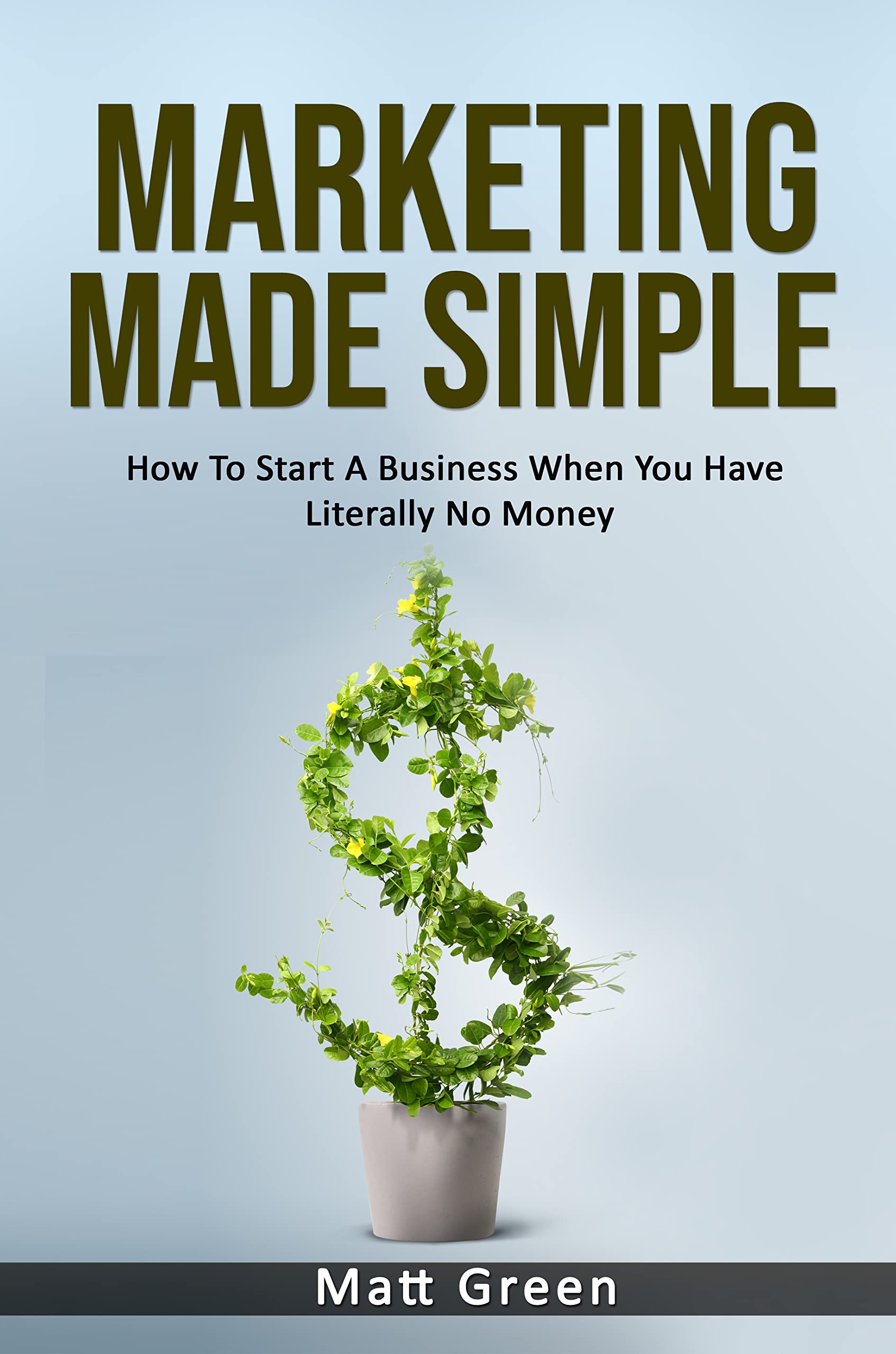 Marketing Made Simple: How To Start A Business When You Have Literally No Money by Matt Green ...