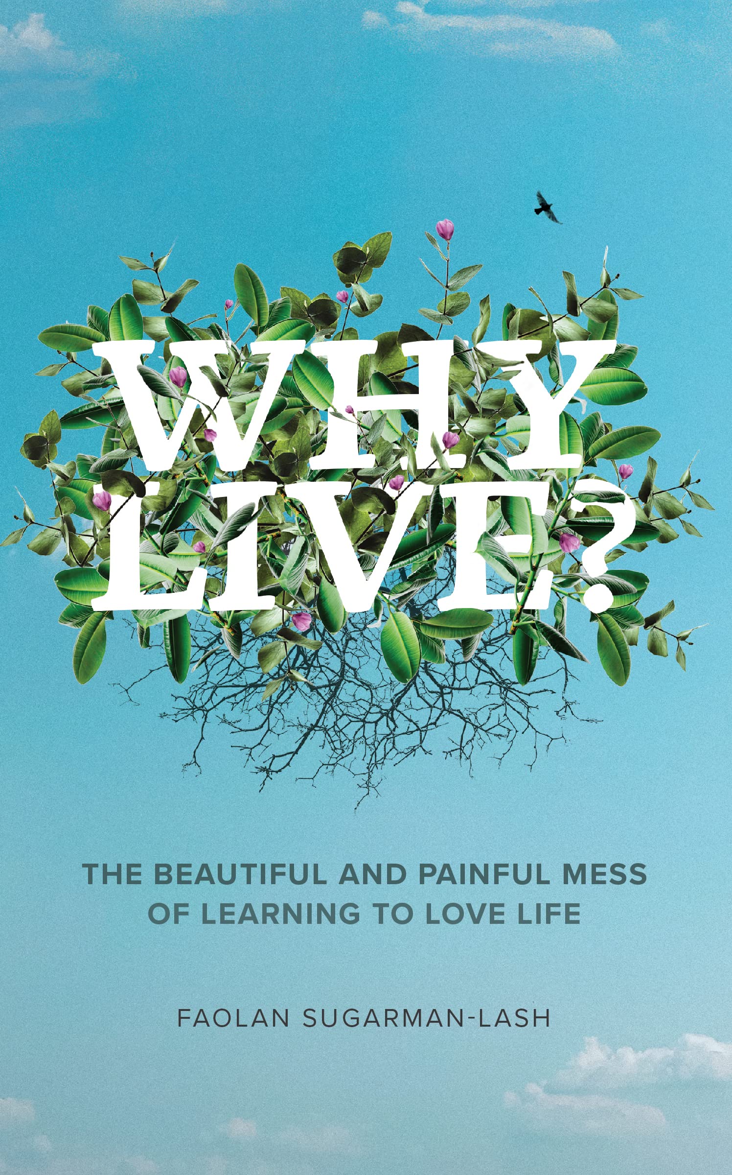 Why Live?: The Beautiful and Painful Mess of Learning to Love Life by ...