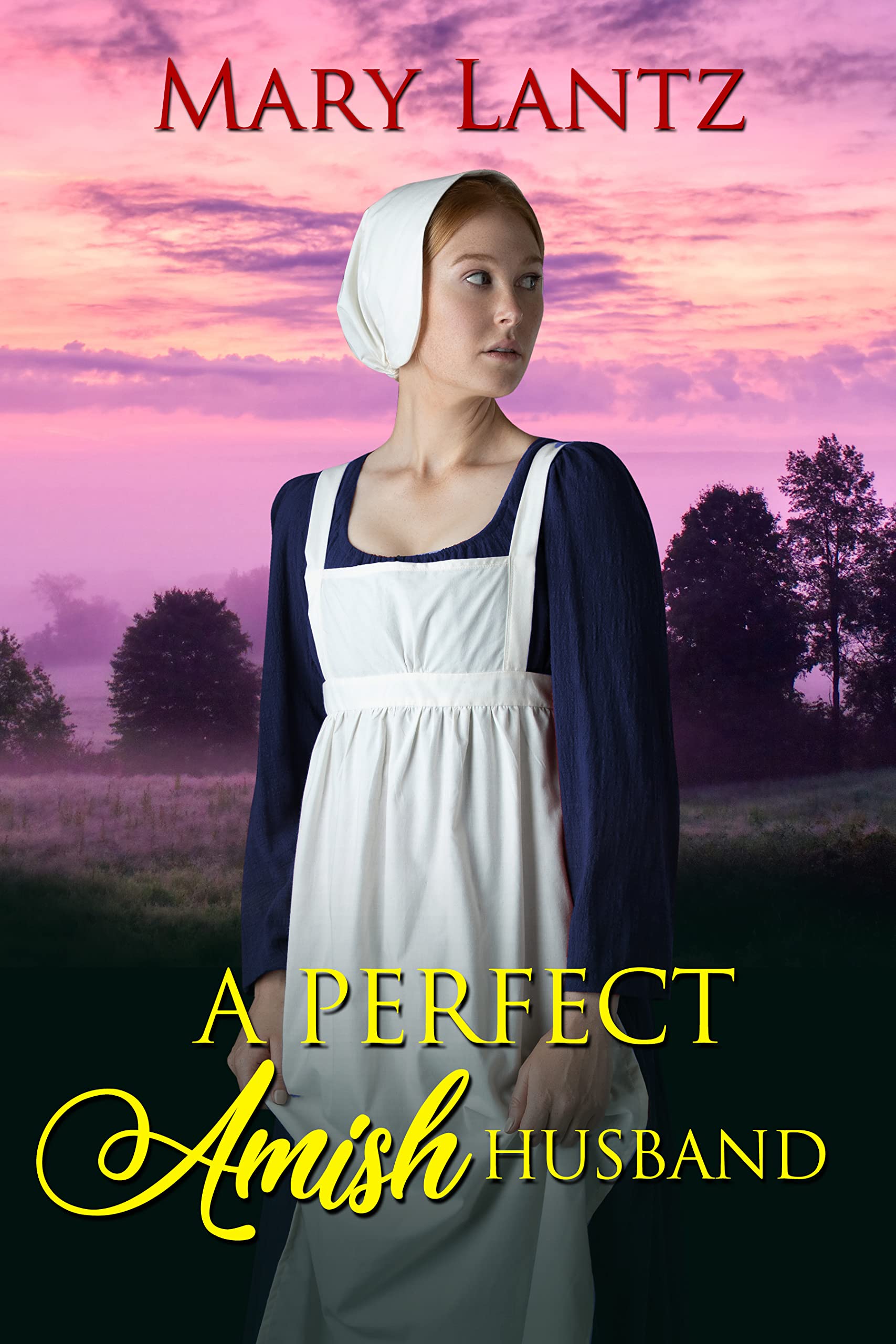 A Perfect Amish Husband by Mary Lantz | Goodreads