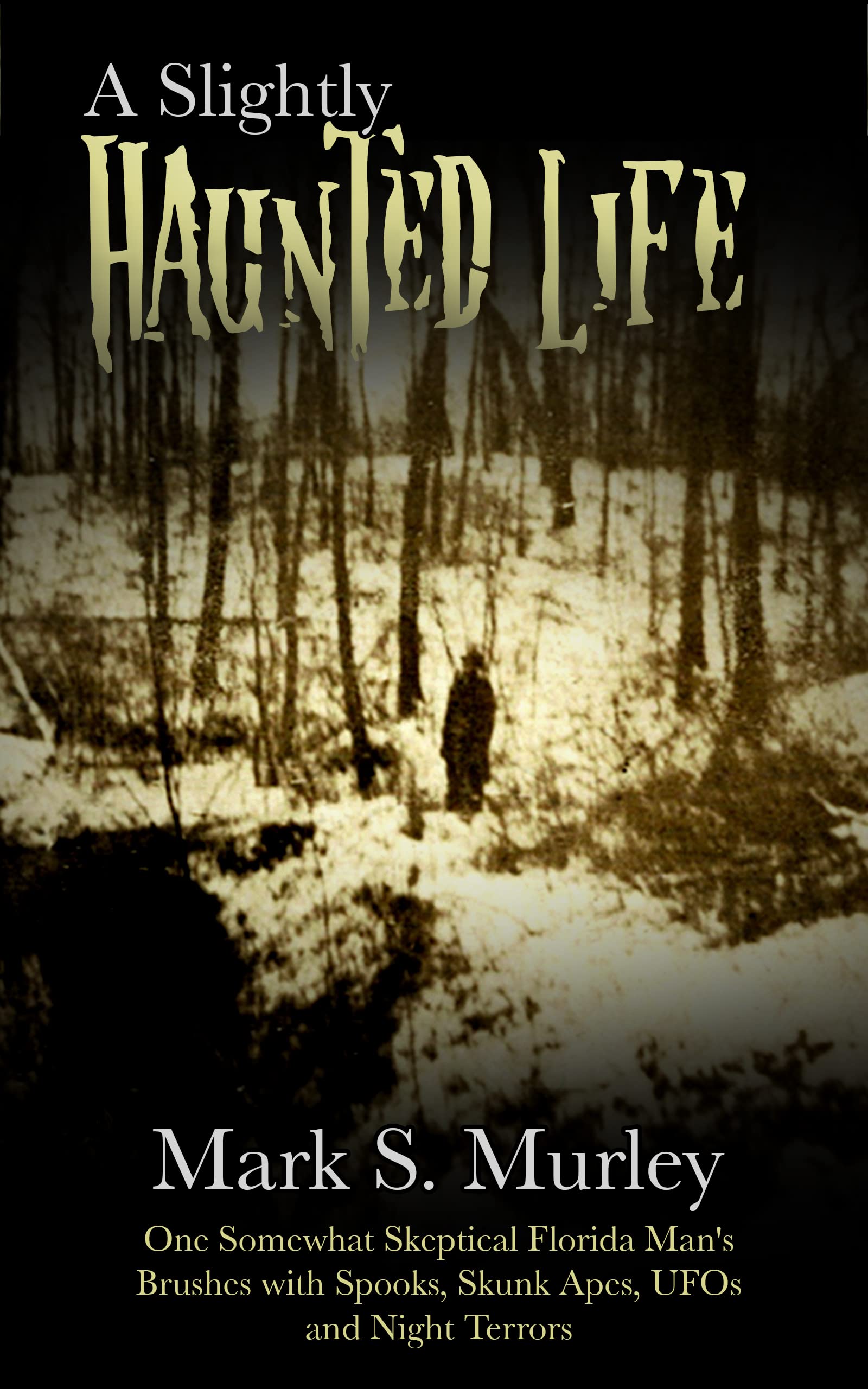 A Slightly Haunted Life: One Somewhat Skeptical Florida Man's Brushes ...