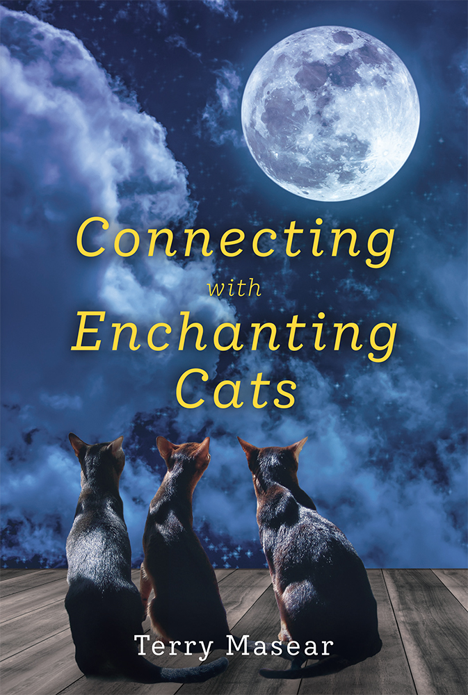 Connecting with Enchanting Cats by Terry Masear | Goodreads