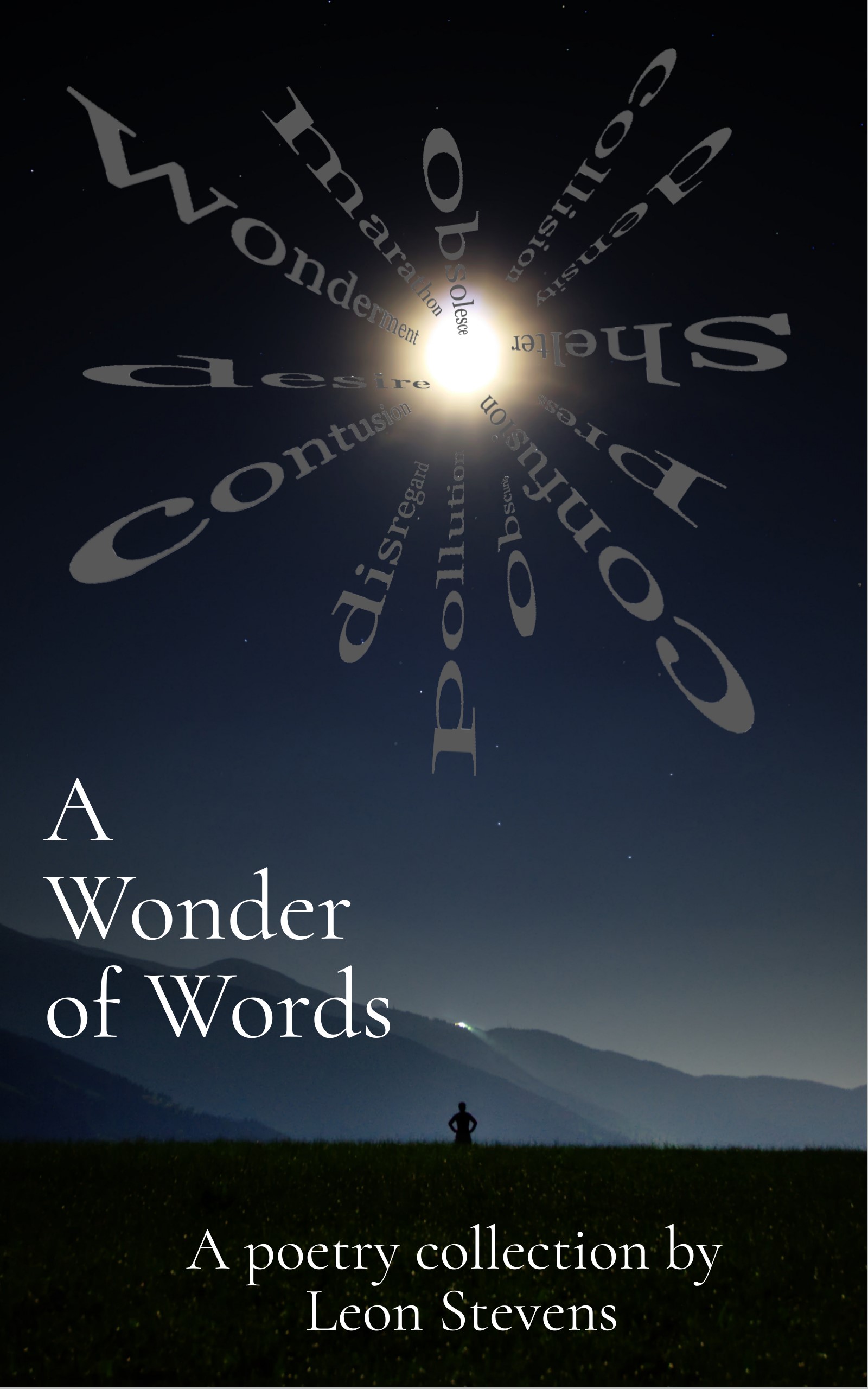 A Wonder of Words by Leon Stevens | Goodreads