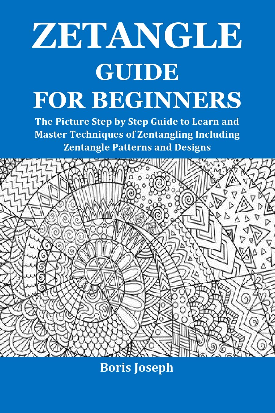 ZETANGLE GUIDE FOR BEGINNERS: The Picture Step by Step Guide to Learn and Master Techniques of ...