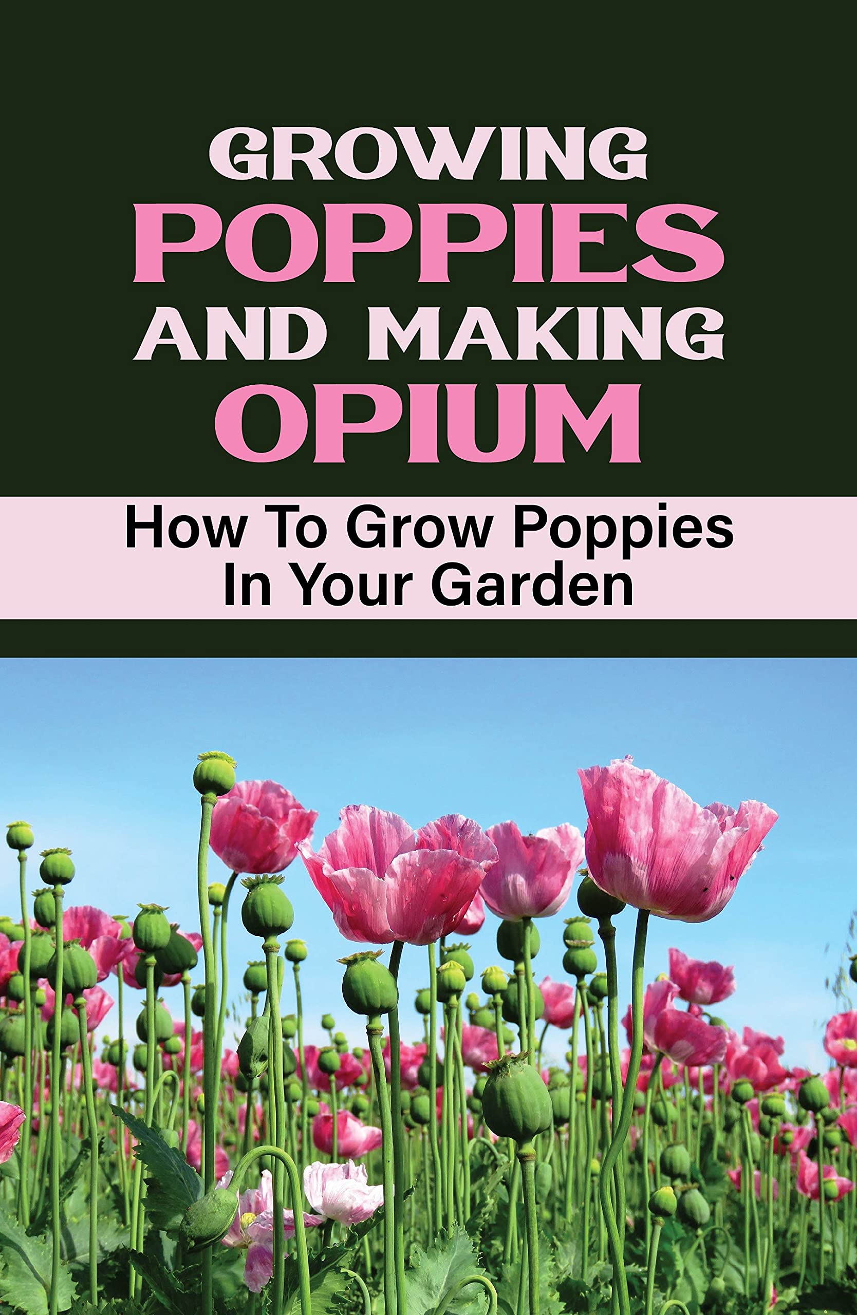 Growing Poppies And Making Opium: How To Grow Poppies In Your Garden ...