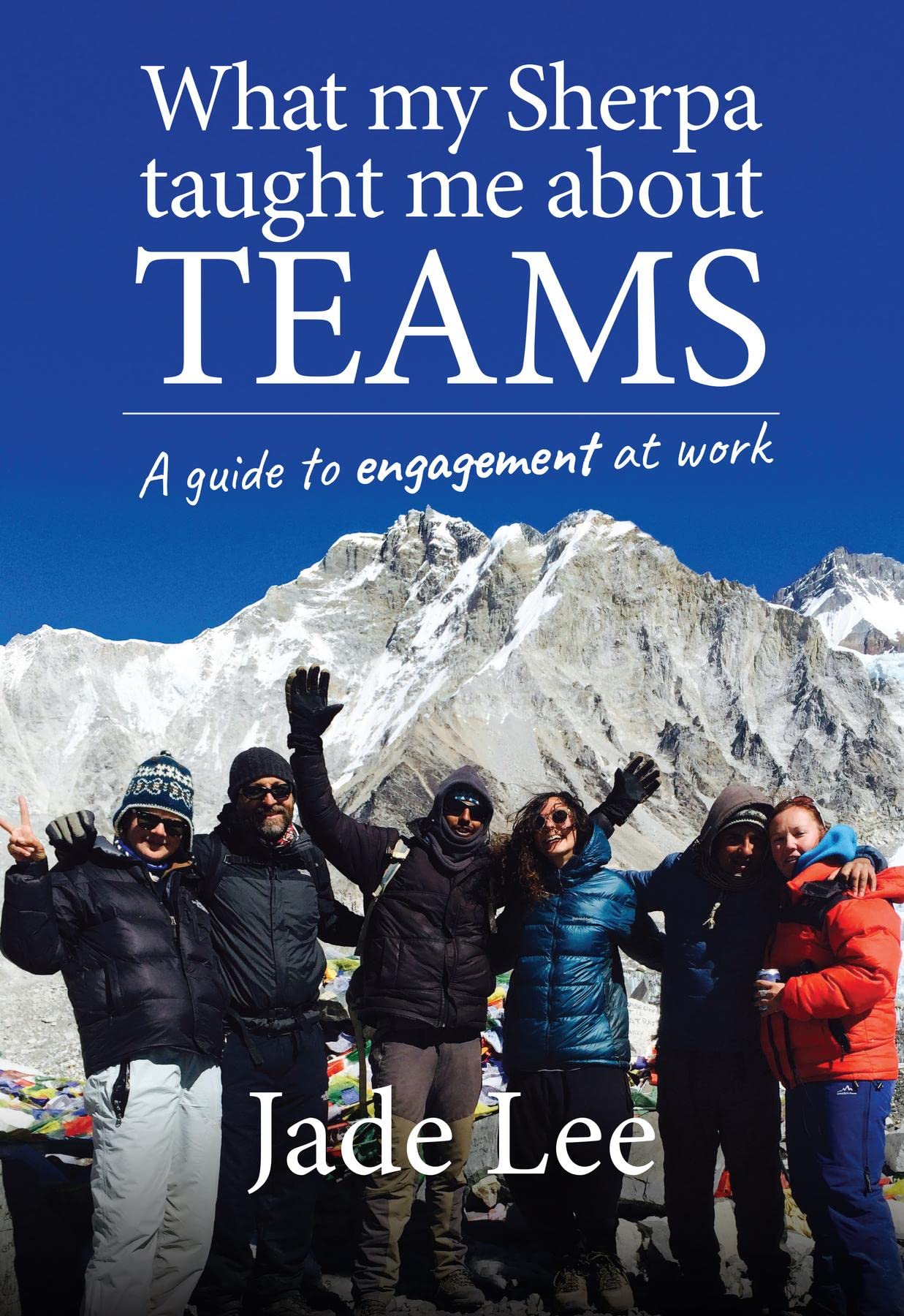 What My Sherpa Taught Me About Teams: A guide to engagement at work by ...