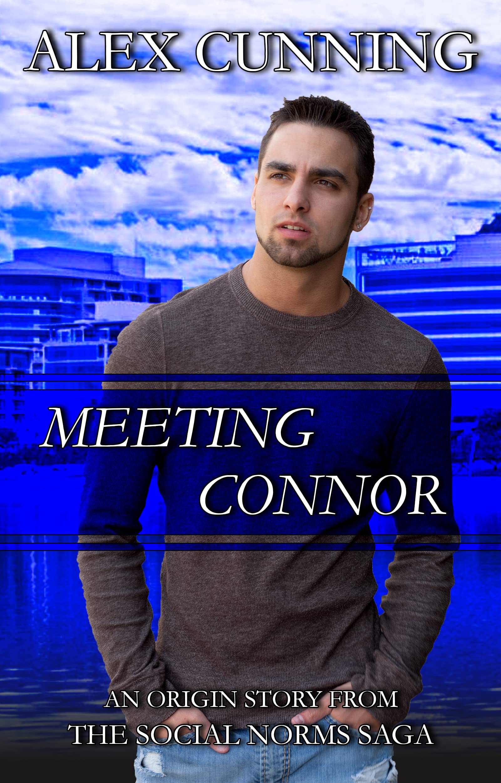 Meeting Connor: A Journey of Forbidden Desire, Irresistible Seduction, Voyeurism, and Trust (MM ...