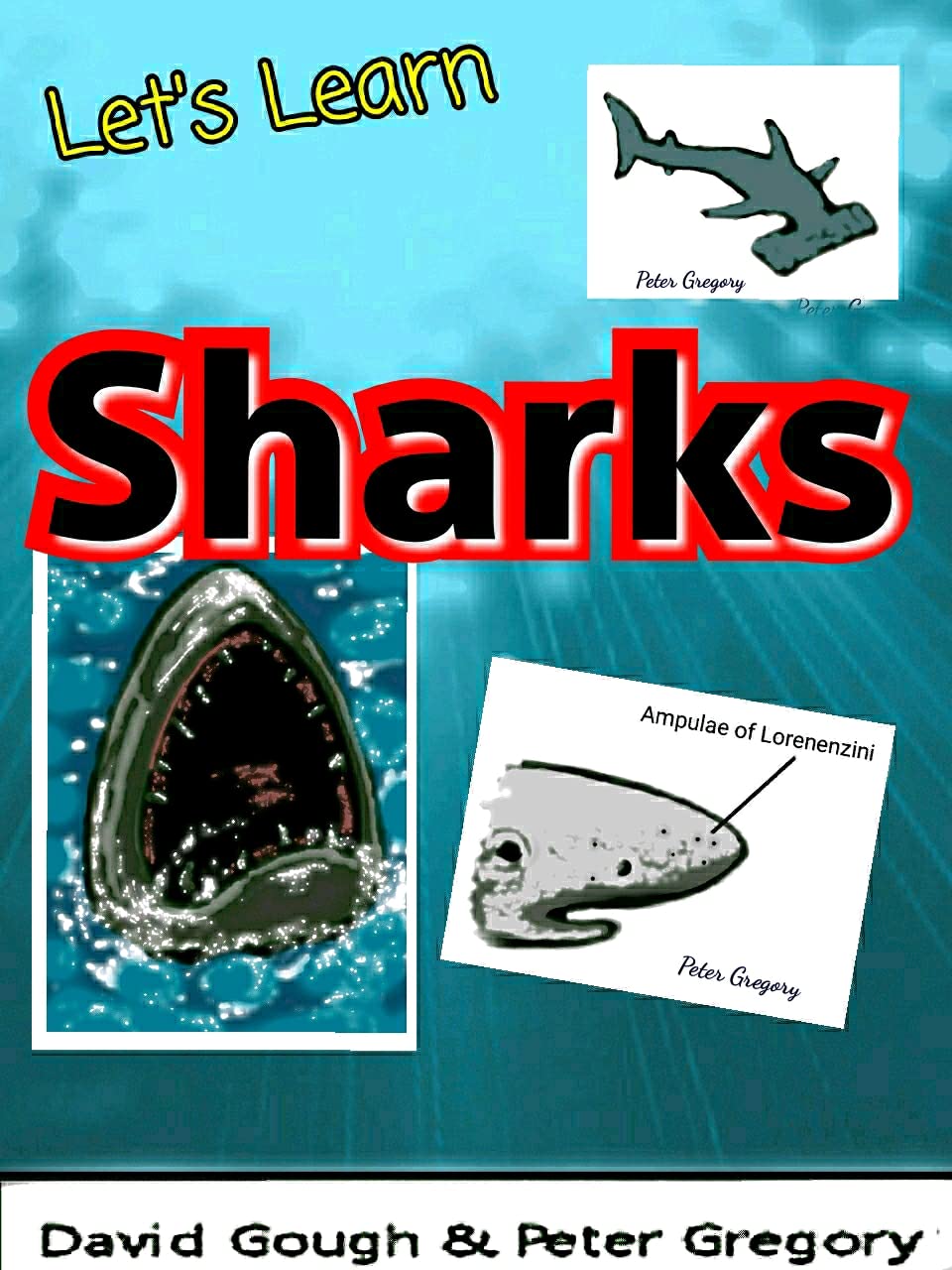 Let's Learn: Sharks (Lets Learn) by Peter H. Gregory | Goodreads