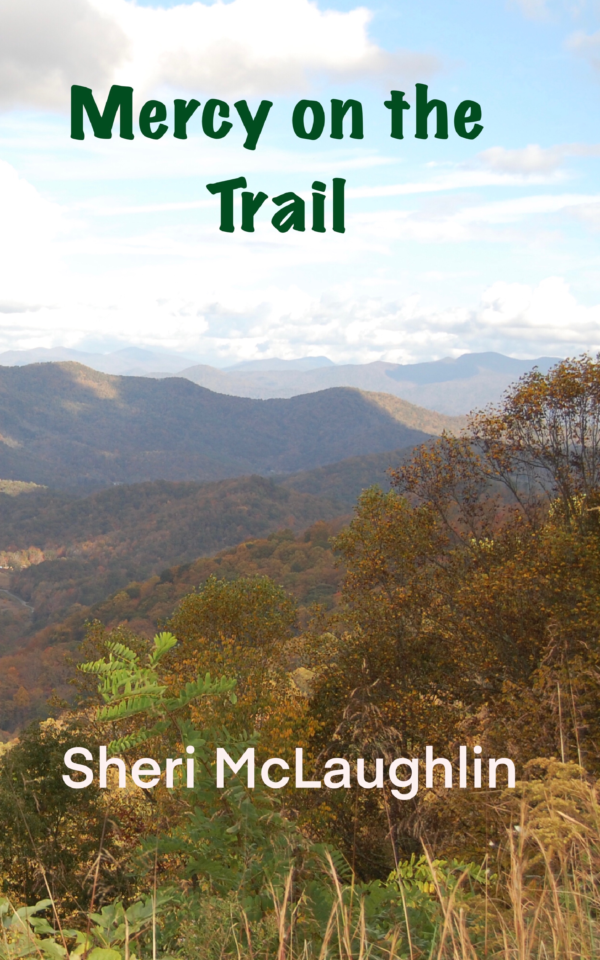 Mercy on the Trail by Sheri McLaughlin | Goodreads