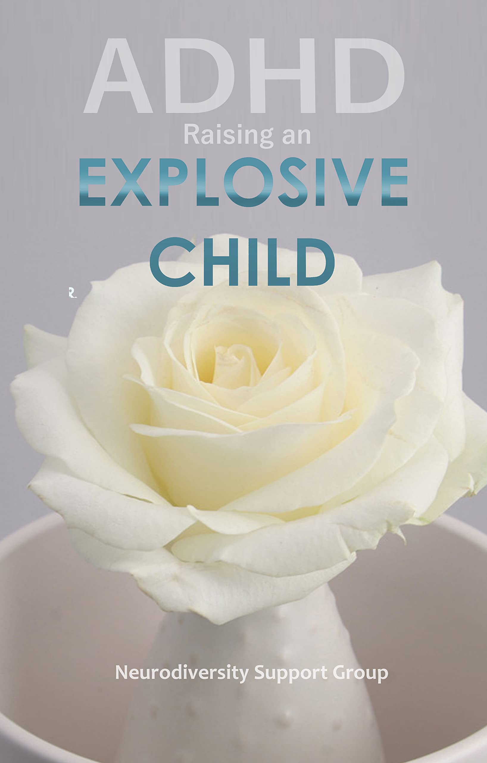 ADHD RAISING AN EXPLOSIVE CHILD: Positive Parenting Strategies We Discovered To Empower our Kids ...