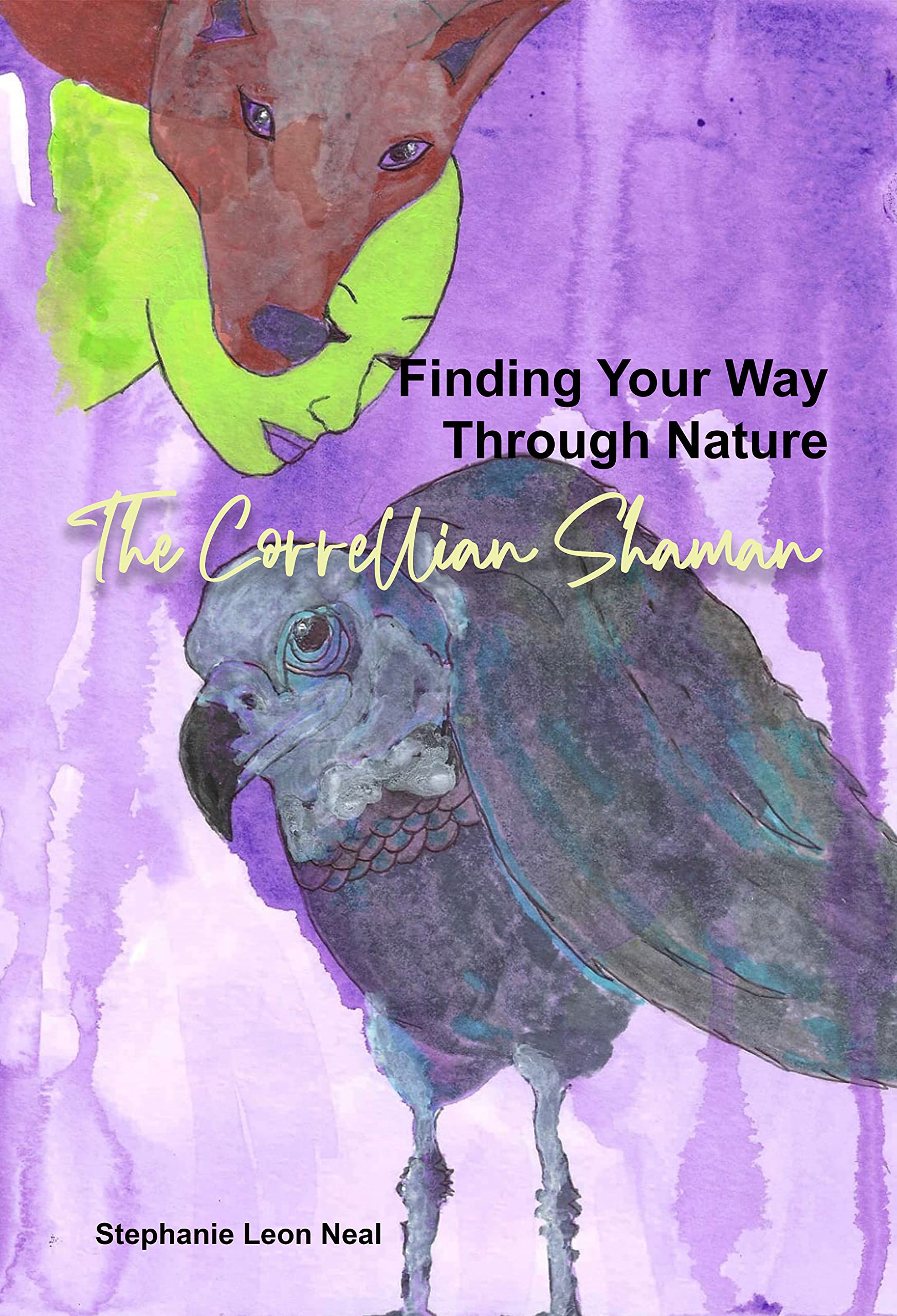Finding Your Way Through Nature: The Correllian Shaman by Stephanie ...