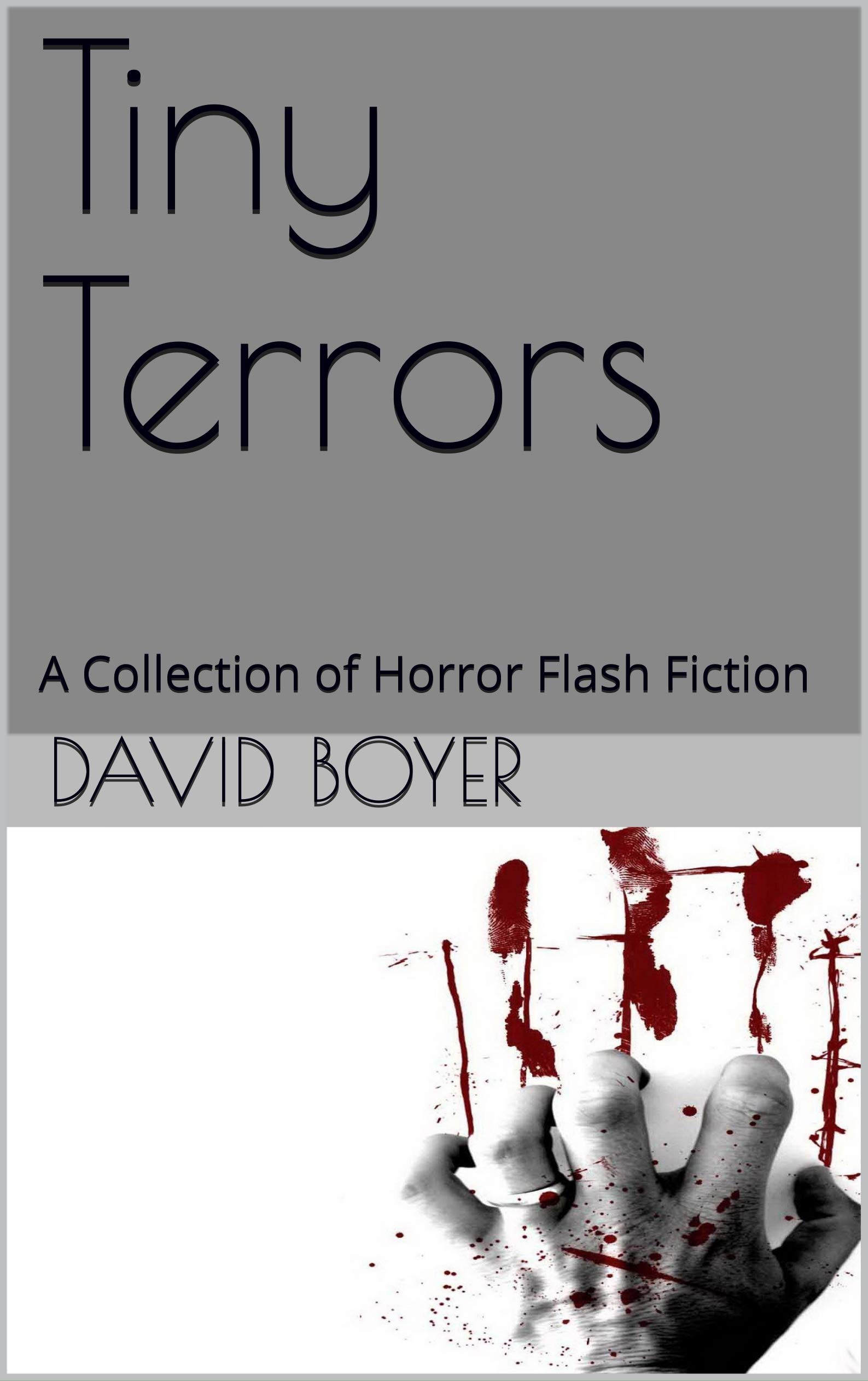 Tiny Terrors : A Collection of Horror Flash Fiction by David Boyer ...
