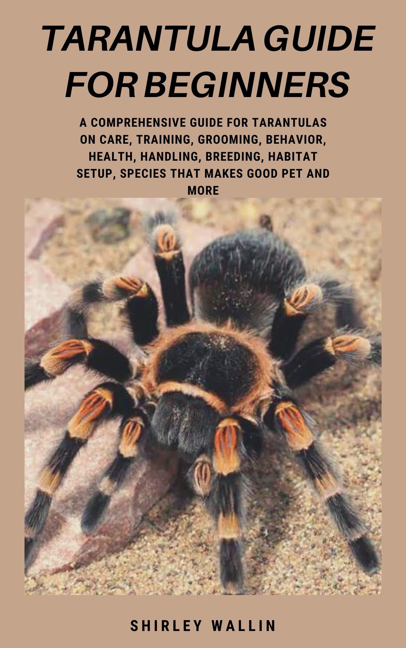 TARANTULA GUIDE FOR BEGINNERS: A comprehensive guide for tarantulas on ...