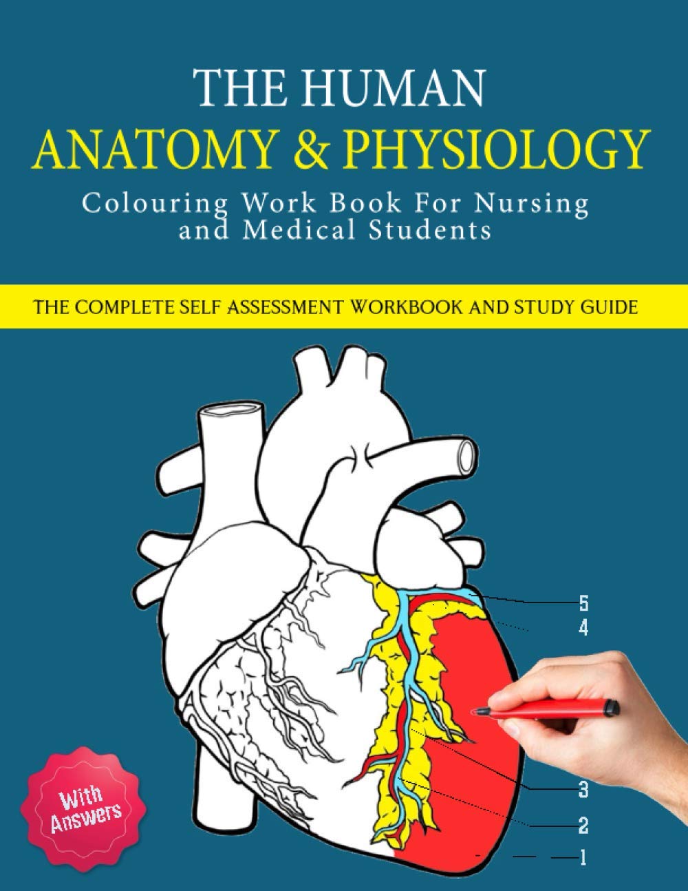The Human Anatomy and Physiology Colouring Work Book for Nursing and ...