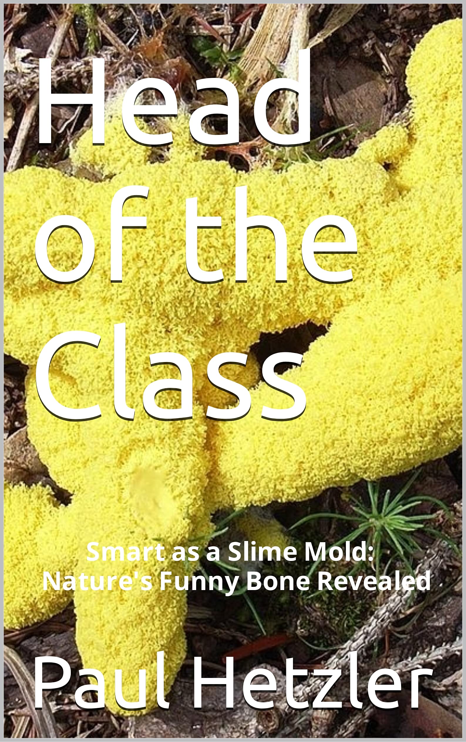 Head of the Class: Smart as a Slime Mold: Nature's Funny Bone Revealed ...