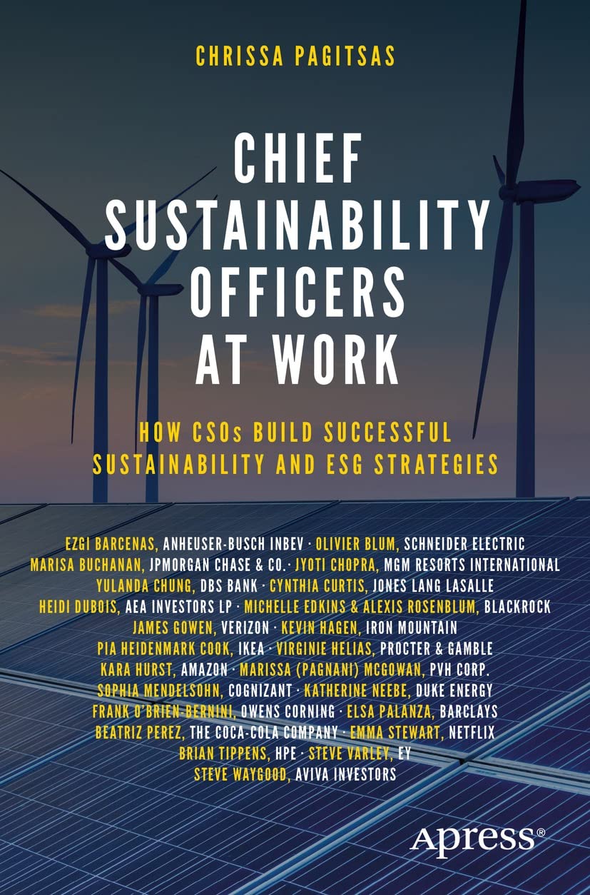 Chief Sustainability Officers At Work: How CSOs Build Successful Sustainability and ESG ...