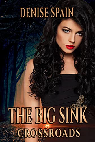 The Big Sink by Denise Spain | Goodreads