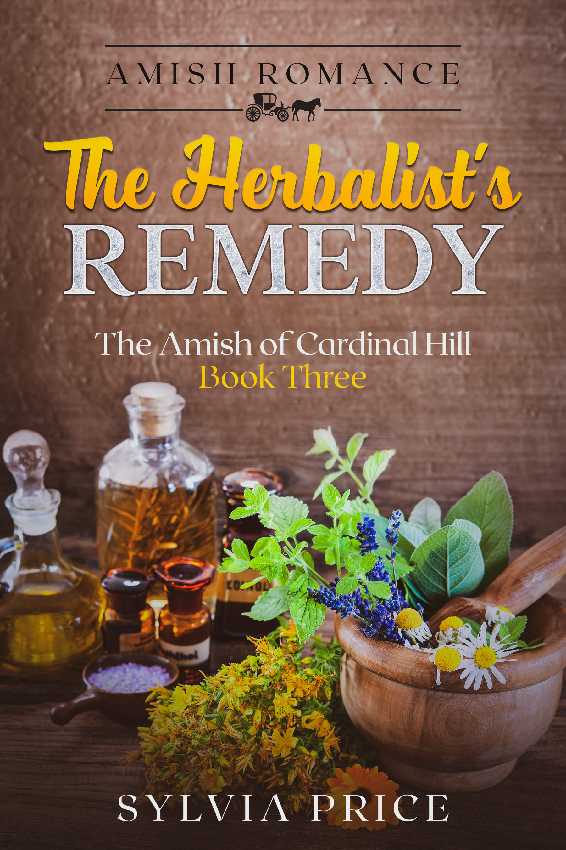 The Herbalist’s Remedy by Sylvia Price | Goodreads