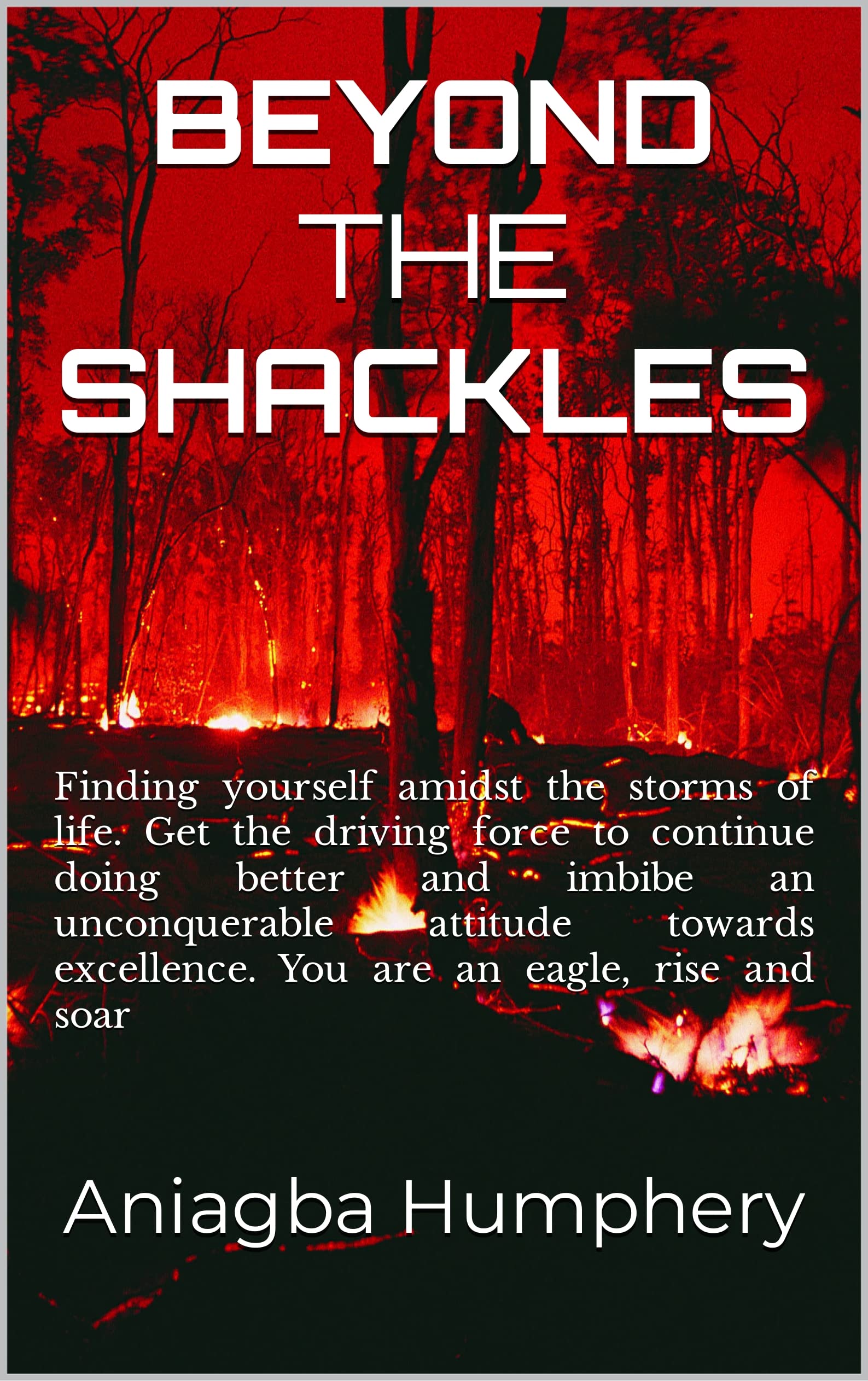 BEYOND THE SHACKLES: Finding yourself amidst the storms of life. Get ...