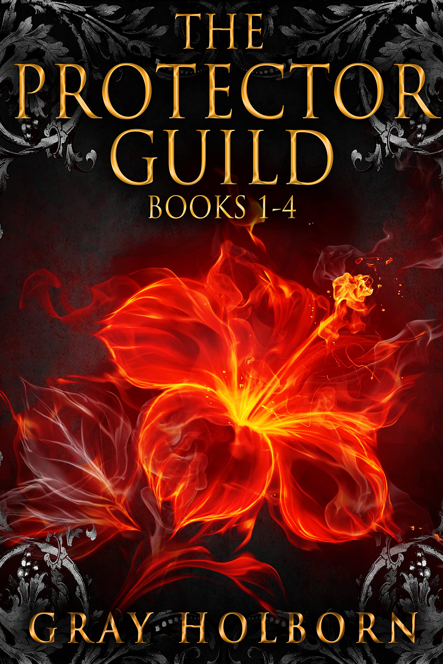 The Protector Guild Series Boxed Set: Books 1-4 by Gray Holborn | Goodreads