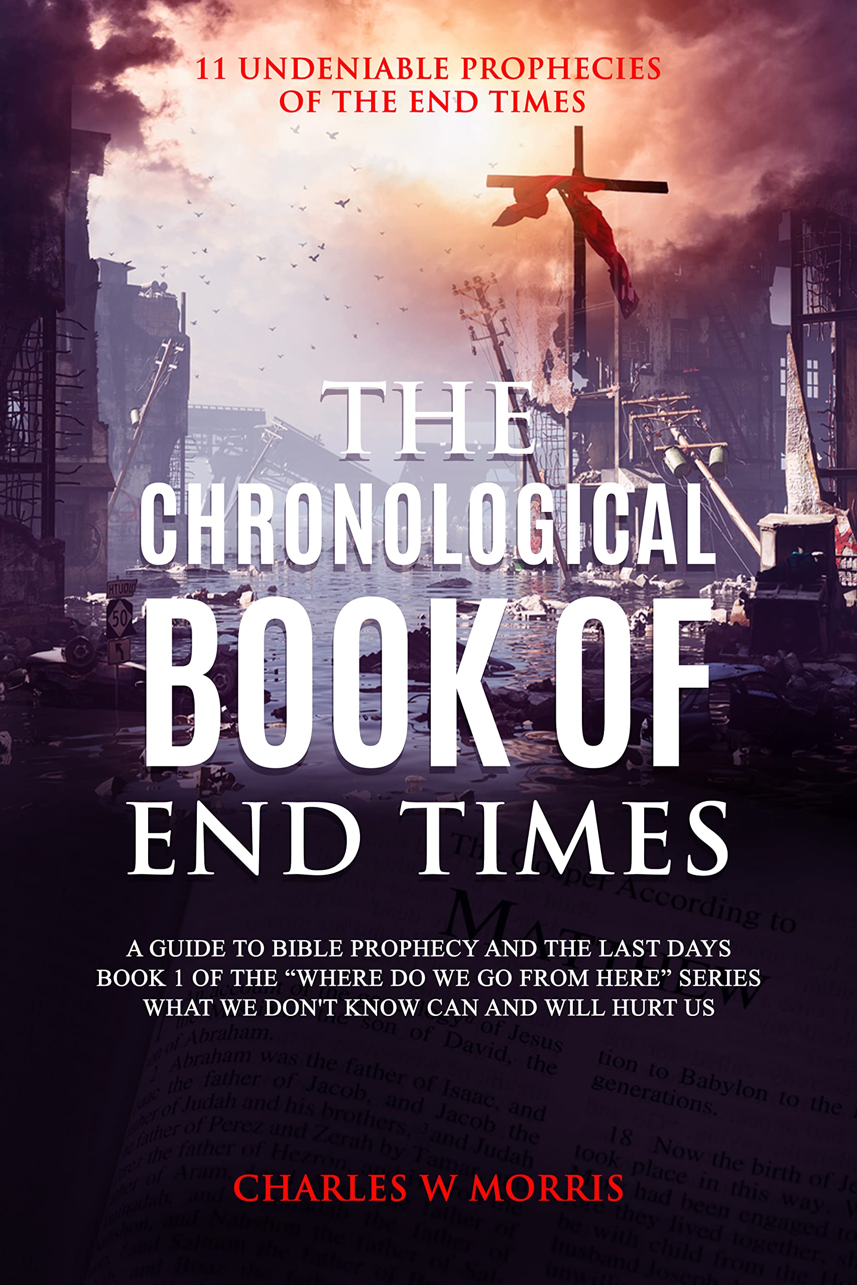The Chronological Book of End Times: 11 Undeniable Prophecies Of The ...