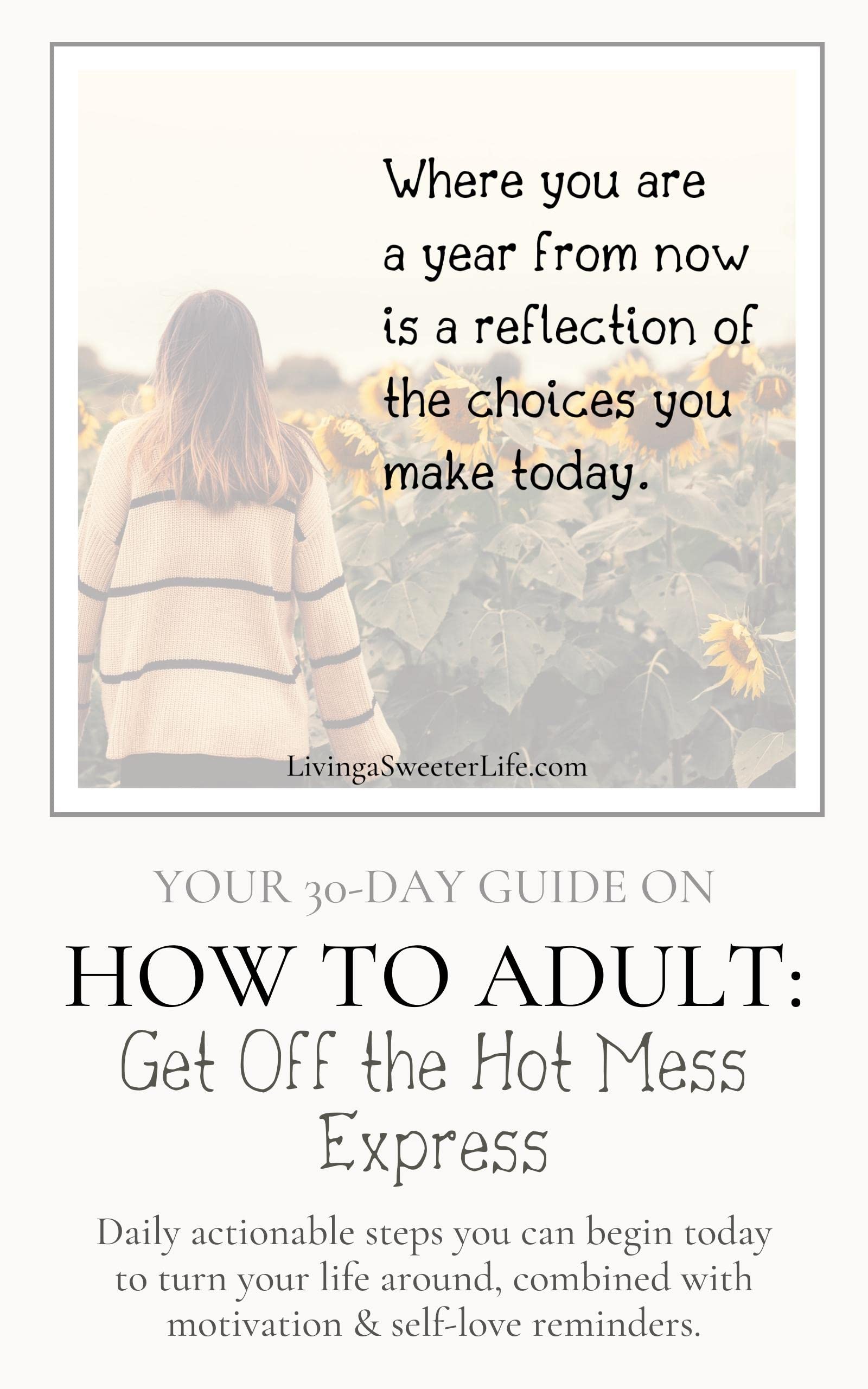 How to Adult: And Get Control of Your Life - Actionable steps you can ...