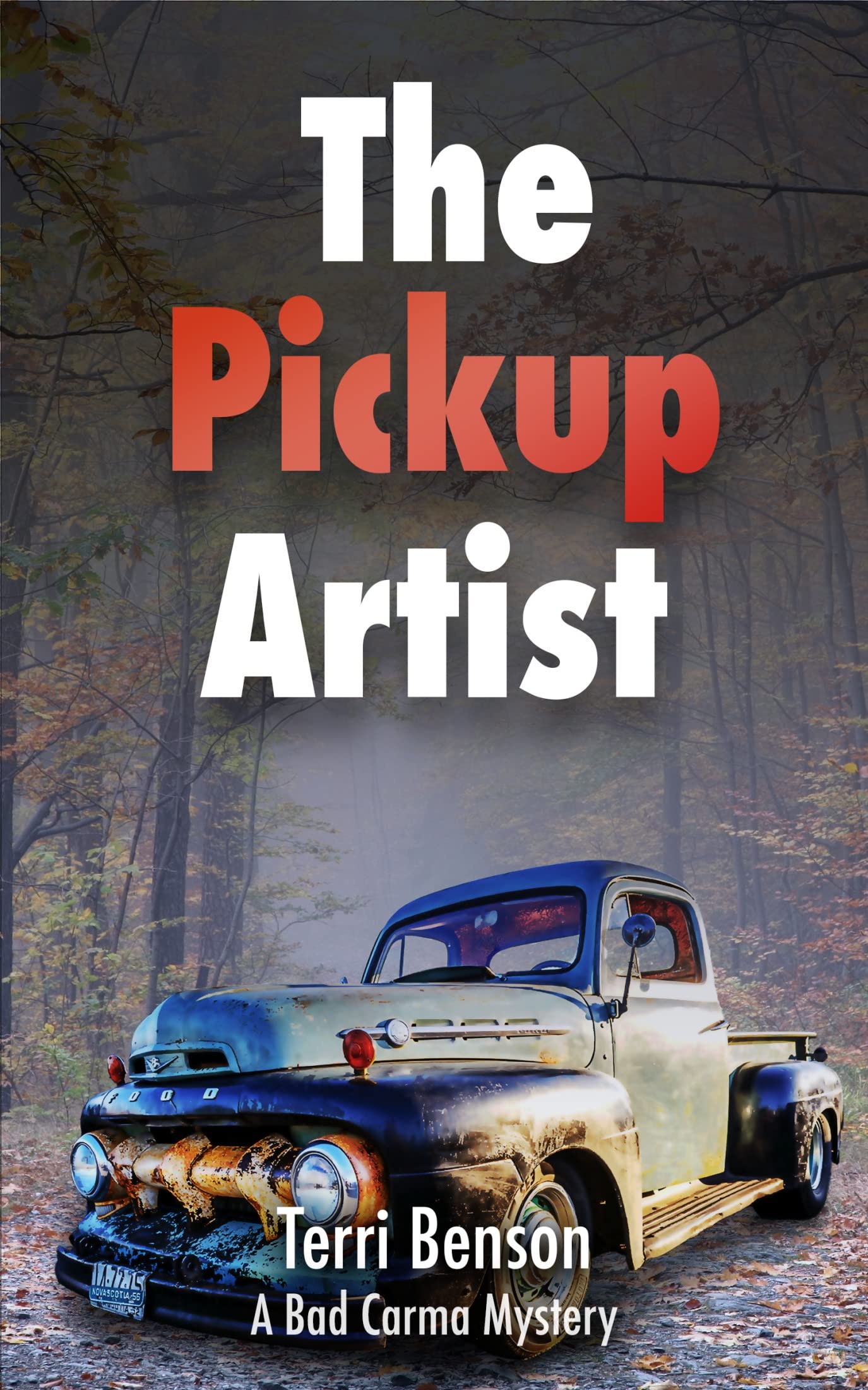 The Pickup Artist (A Bad Carma Mystery Book 1) by Terri Benson | Goodreads
