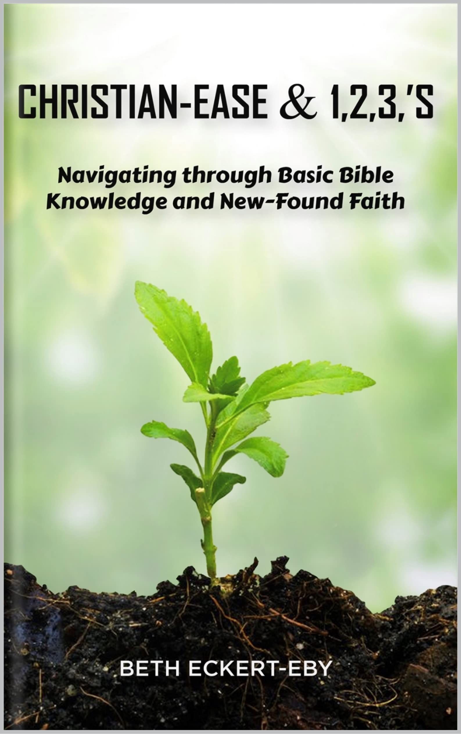 CHRISTIAN-EASE & 1,2,3's: Navigating through Basic Bible Knowledge and ...