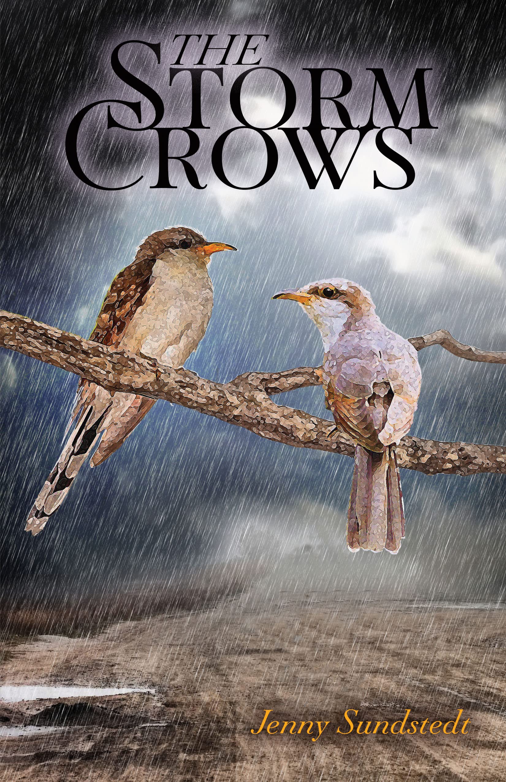 The Storm Crows by Jenny Sundstedt | Goodreads