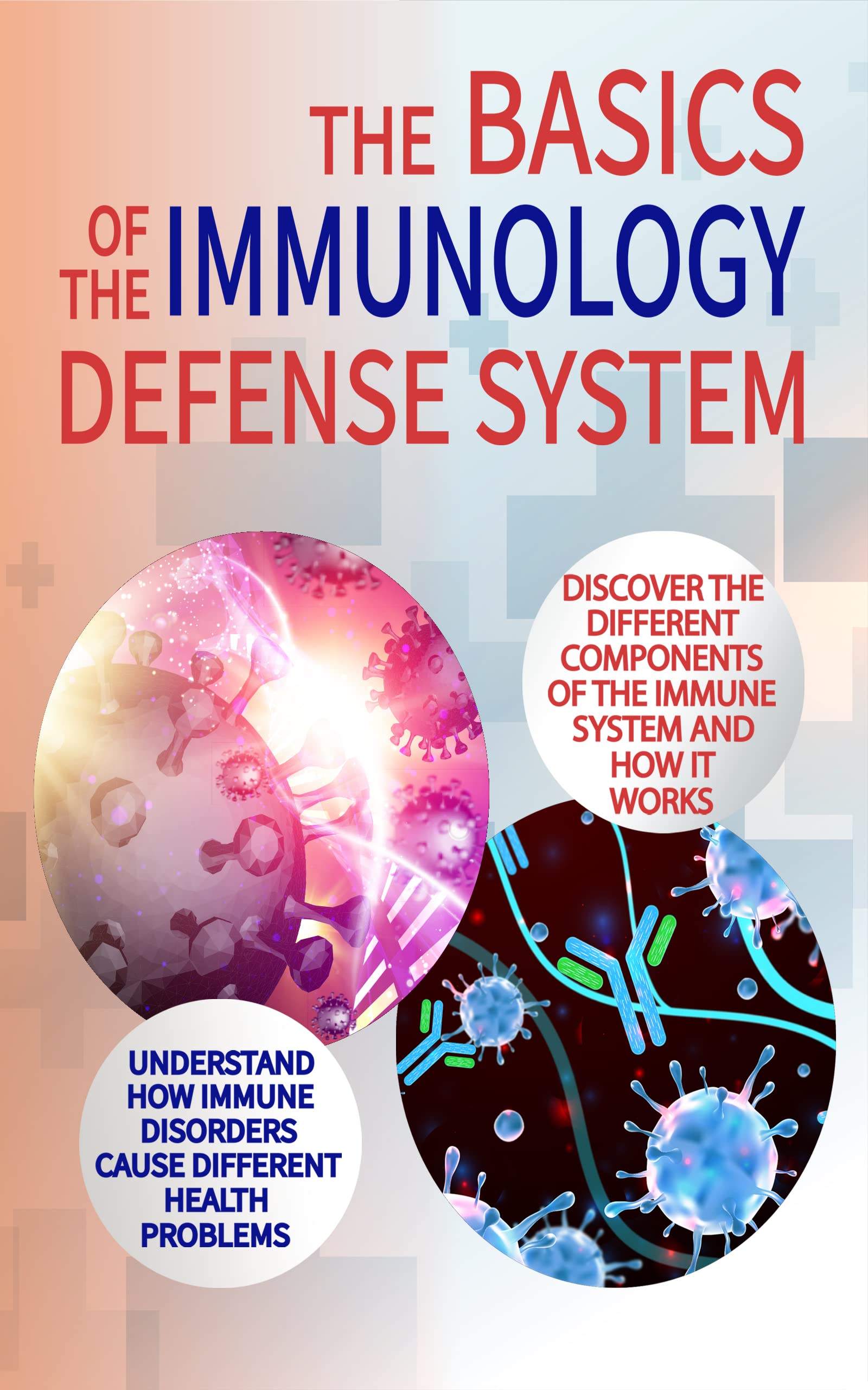 The Basics Of The Immunology Defense System: A Brief Introduction To ...
