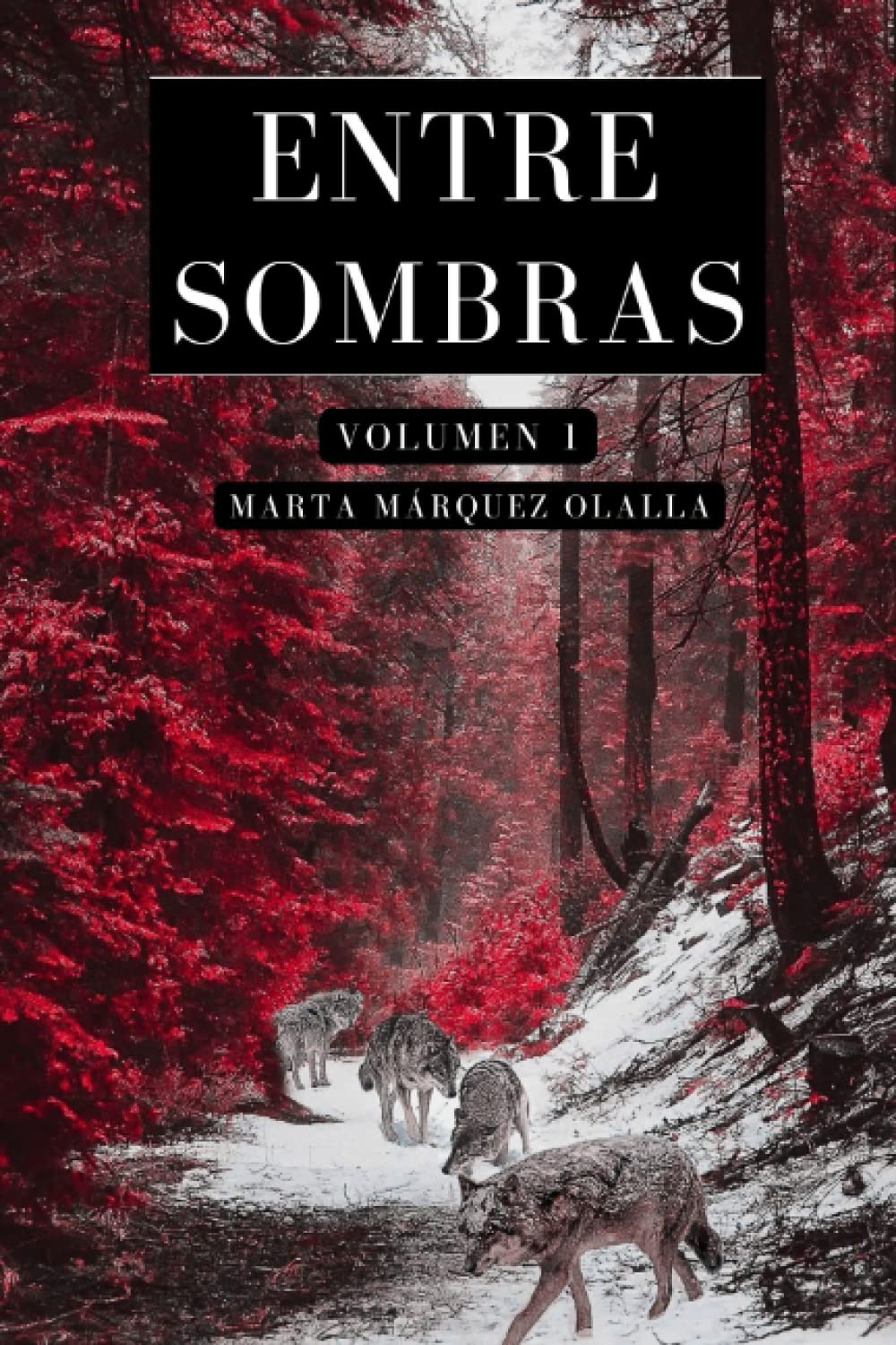 Entre Sombras Volumen 1 by Marta Márquez Olalla | Goodreads