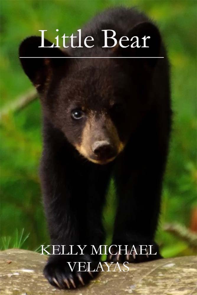 Little Bear by Kelly Michael Velayas | Goodreads