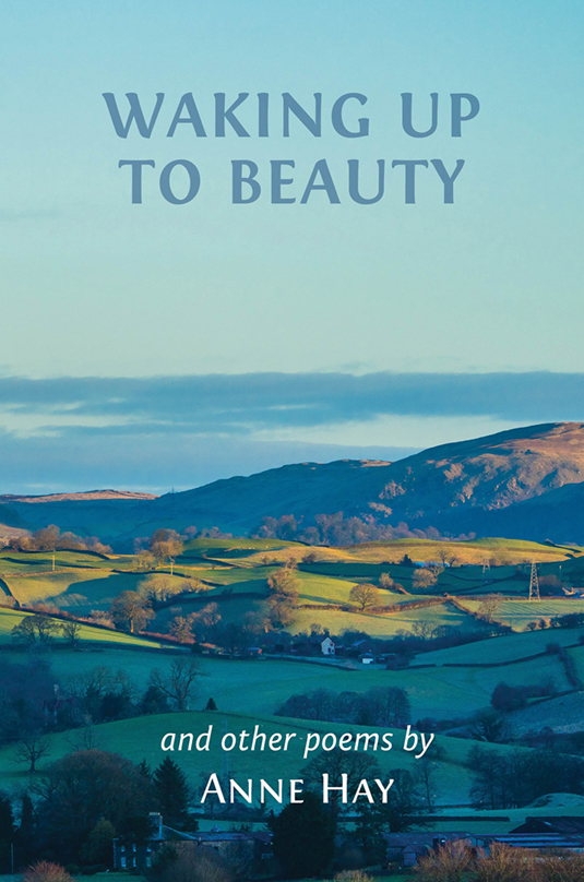 Waking Up To Beauty By Anne Hay Goodreads