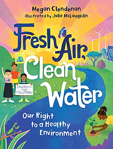 Fresh Air, Clean Water: Our Right to a Healthy Environment by Megan ...