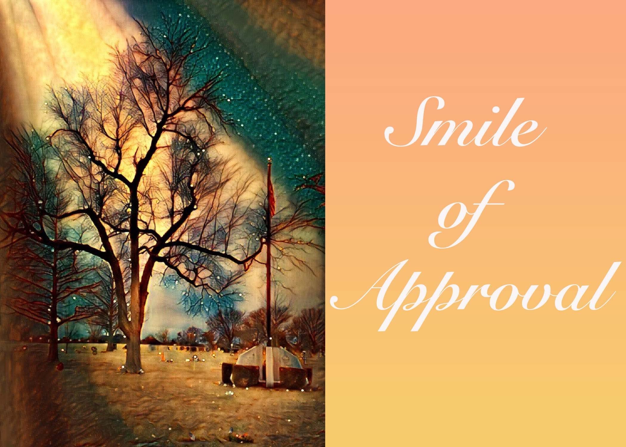 Smile of Approval: Based on true stories by Ann-Marie Villa | Goodreads