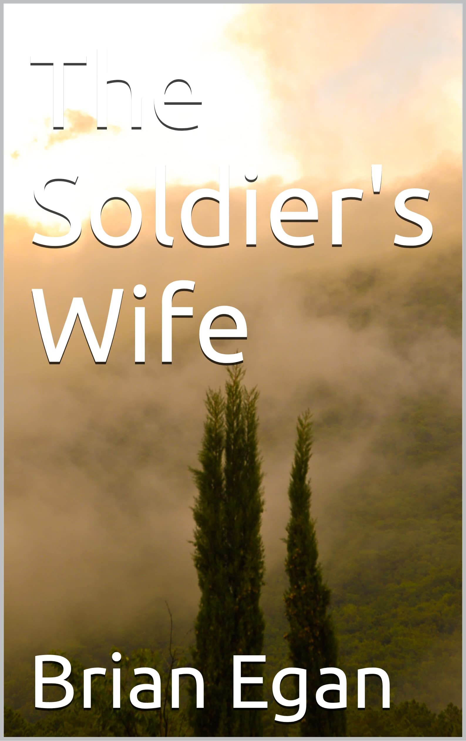 The Soldier's Wife by Brian Egan | Goodreads