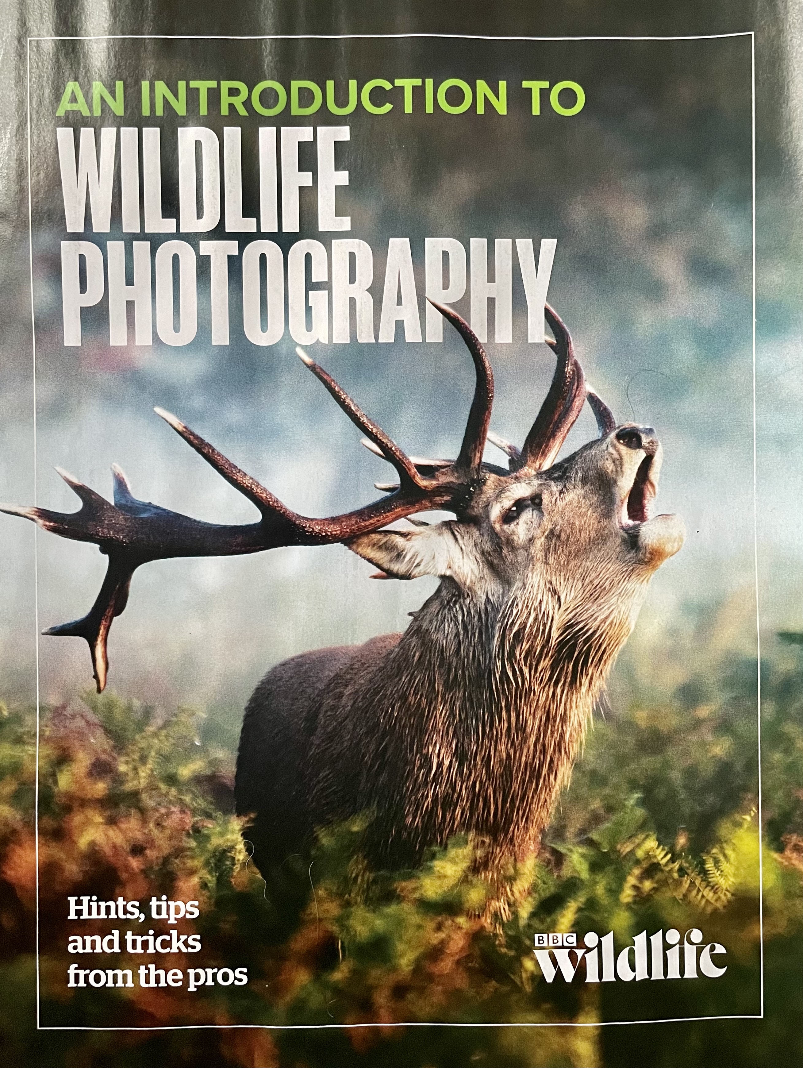 An Introduction To Wildlife Photography by BBC Wildlife | Goodreads