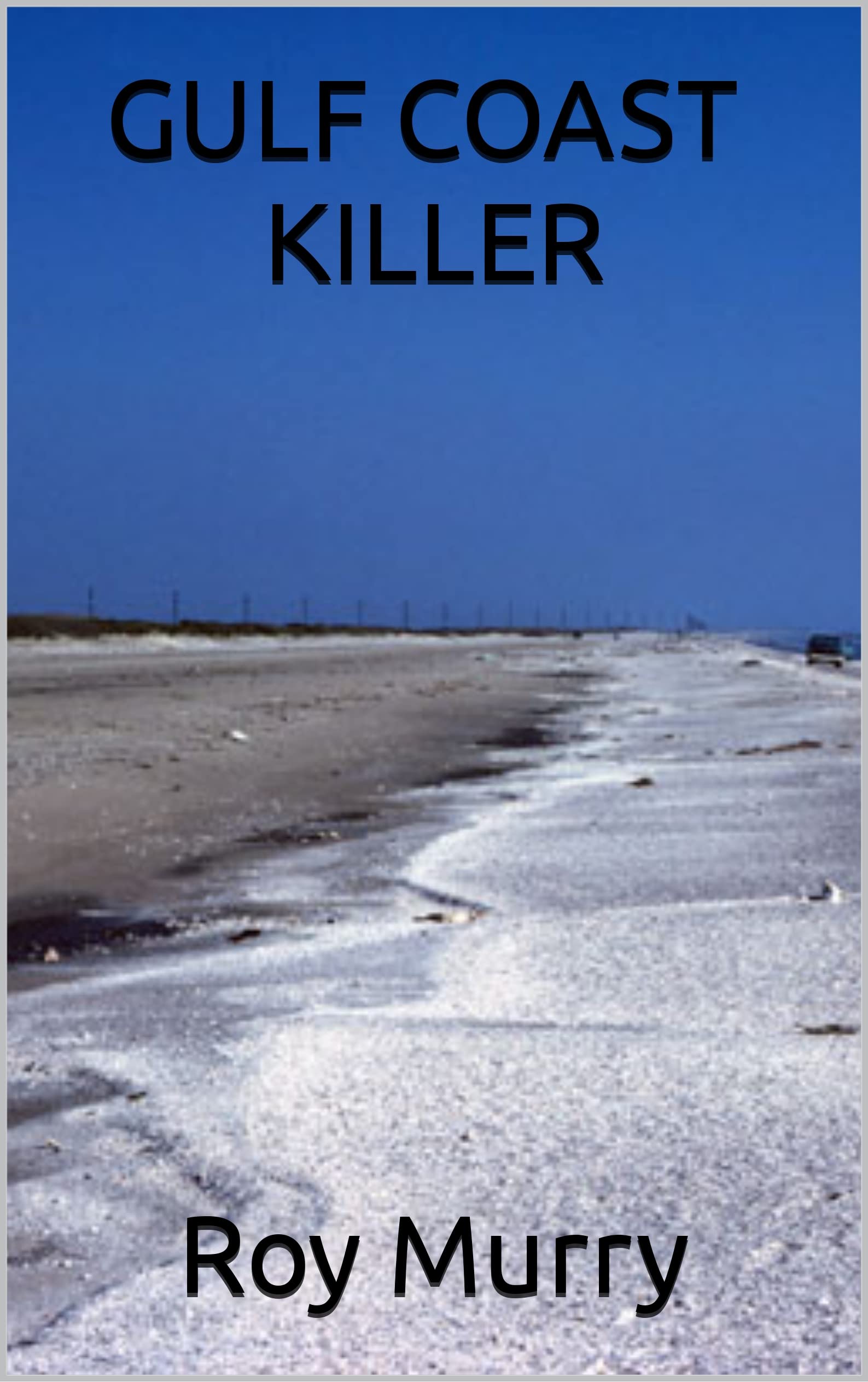 GULF COAST KILLER by Roy Murry | Goodreads
