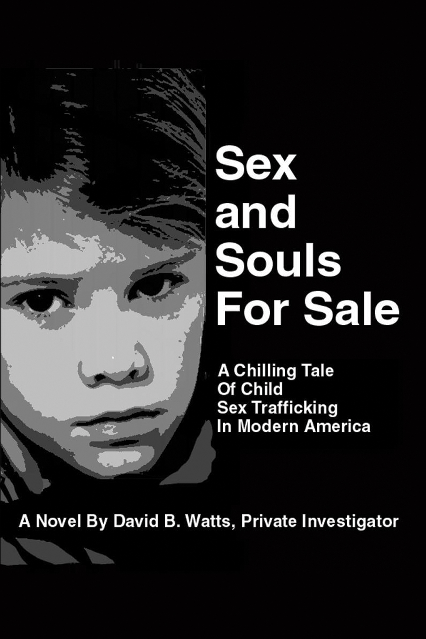 Sex and Souls For Sale: A Chilling Tale of Child Sex Trafficking in Modern America by David ...