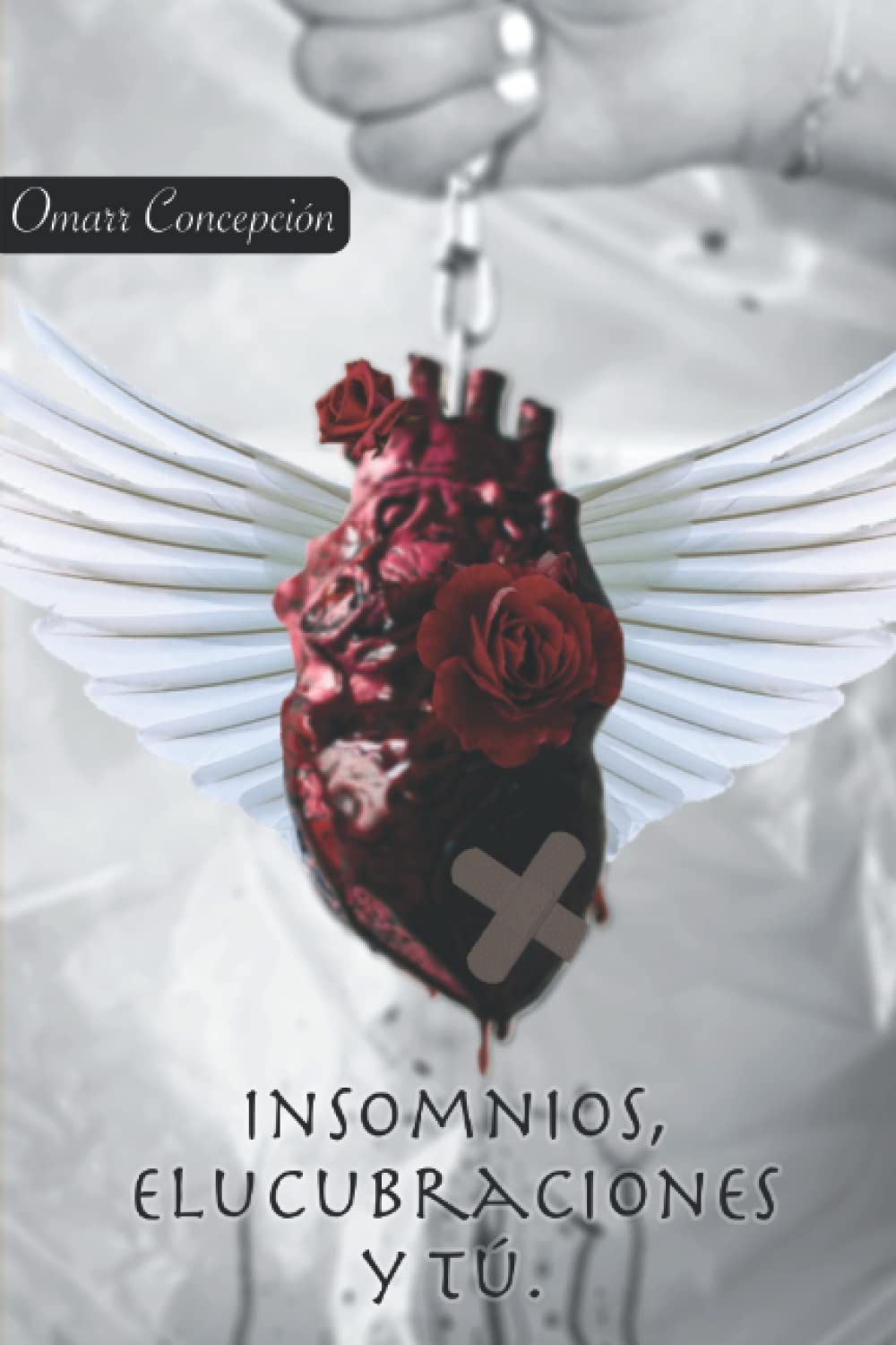 INSOMNIOS, ELUCUBRACIONES Y TÚ (Spanish Edition) by Omarr Concepción ...