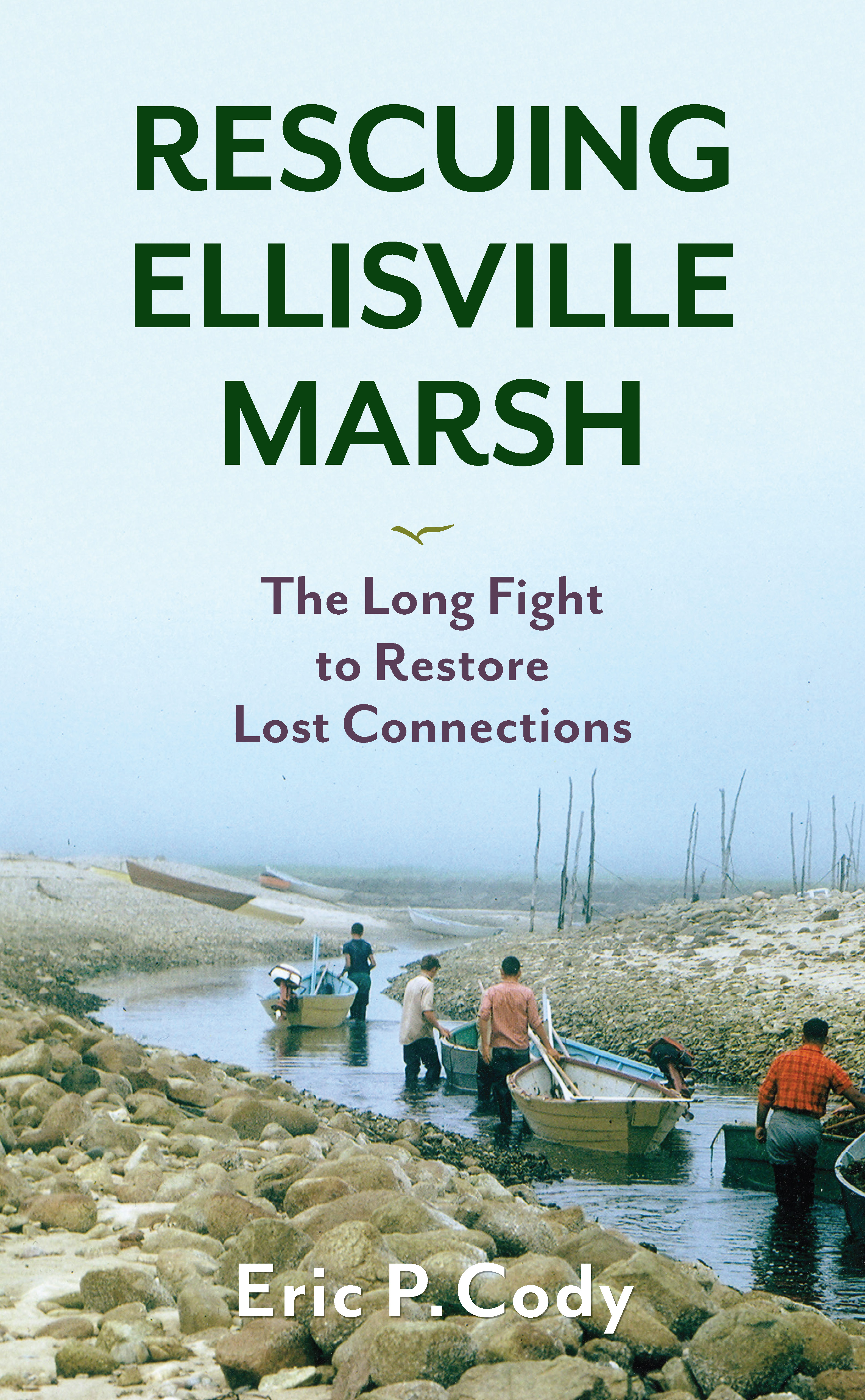 Rescuing Ellisville Marsh: The Long Fight to Restore Lost Connections ...