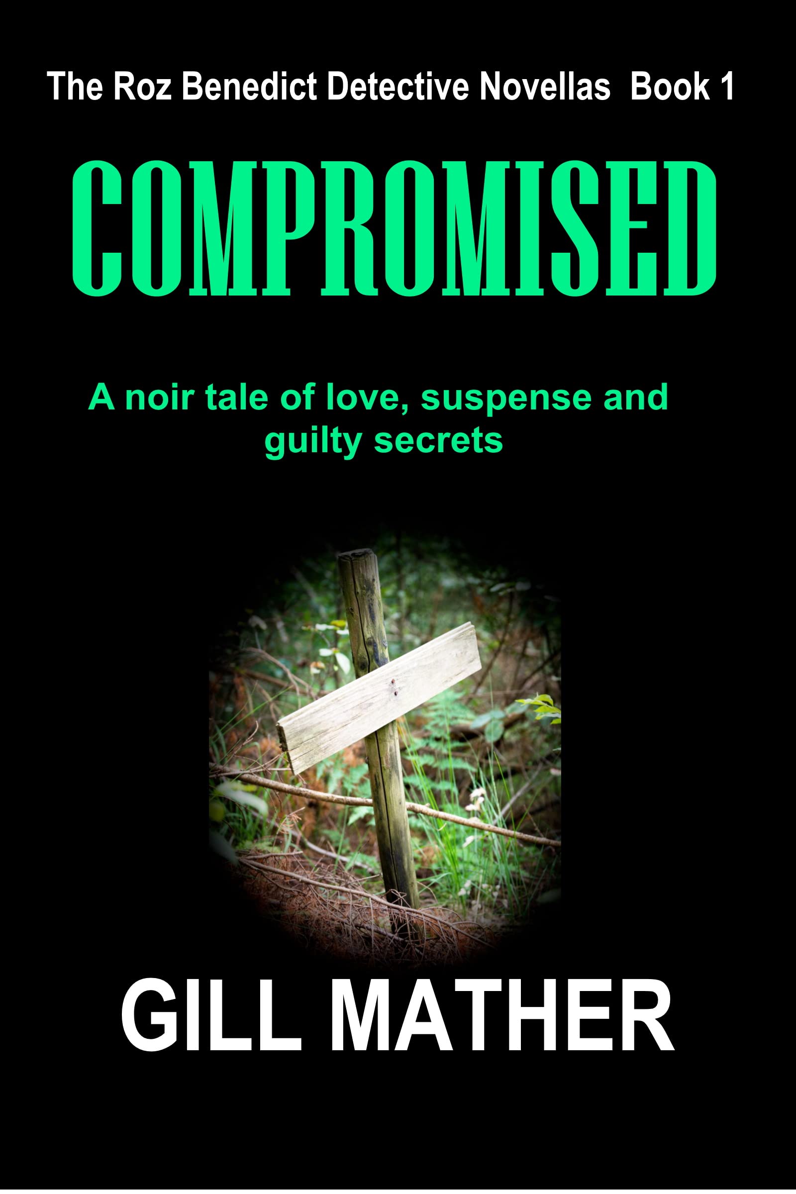 Compromised: A noir tale of love, suspense and guilty secrets by Gill ...