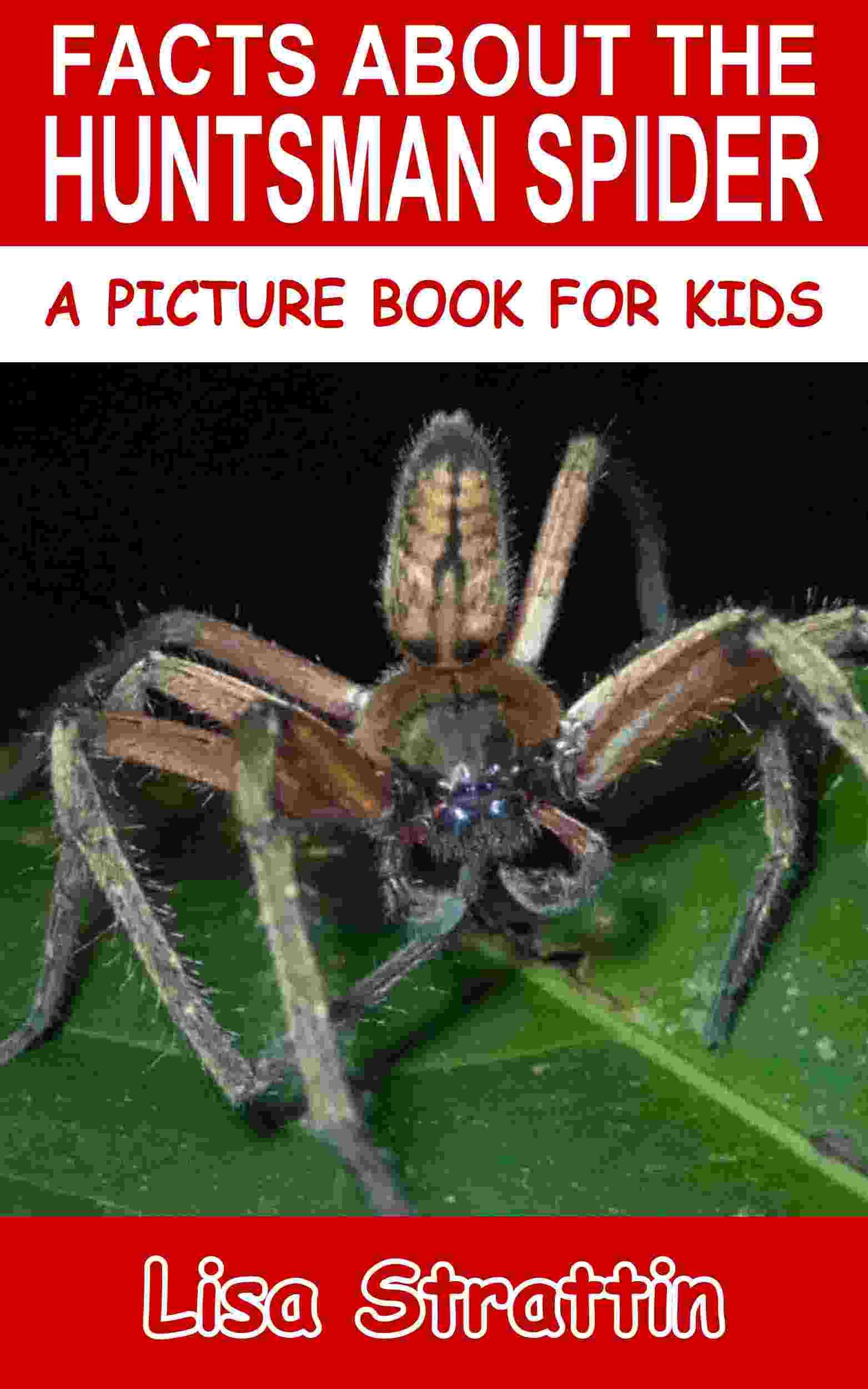 Facts About the Huntsman Spider by Lisa Strattin | Goodreads