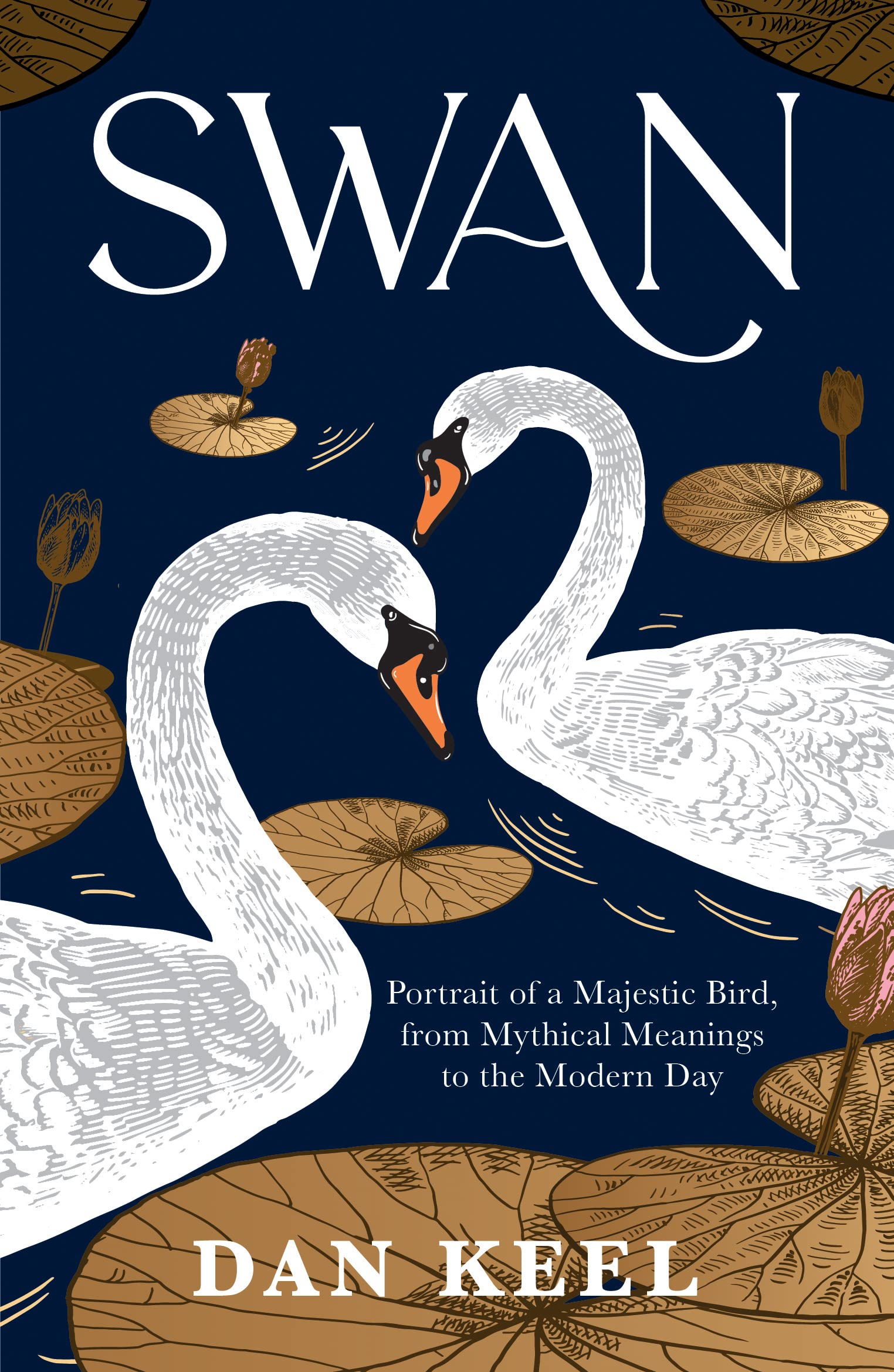 Swan: Portrait of a Majestic Bird, from Mythical Meanings to the Modern ...