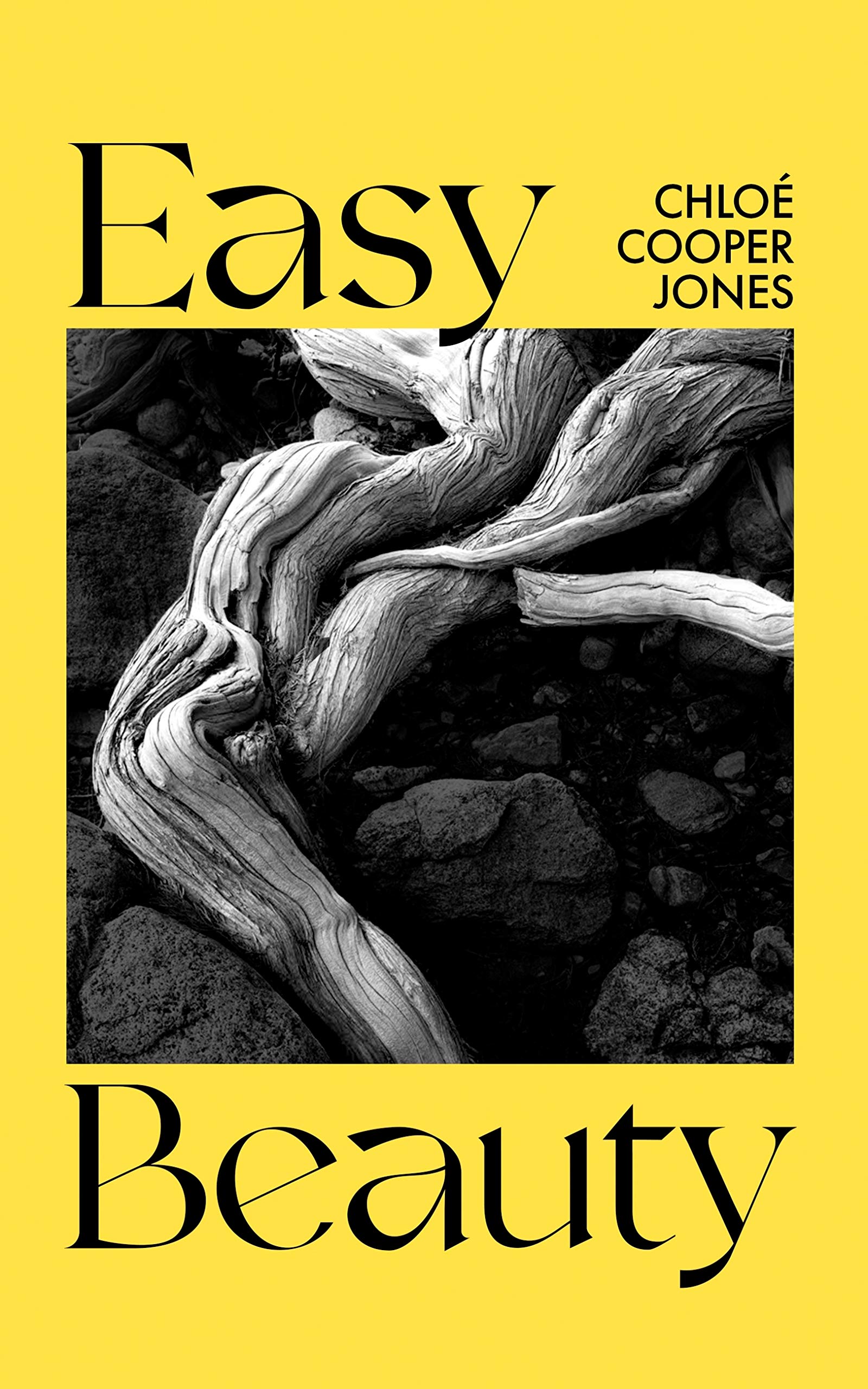 Easy Beauty: On Seeing and Being Seen by Chloé Cooper Jones | Goodreads