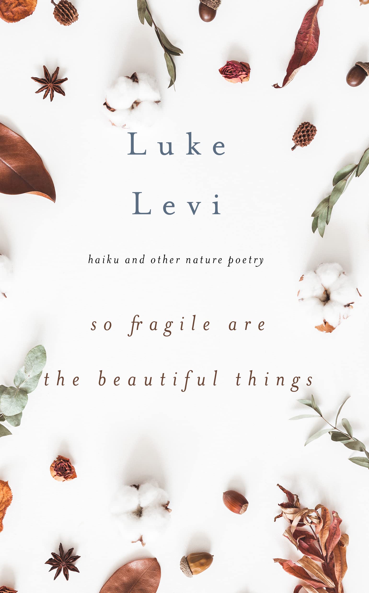 So Fragile Are the Beautiful Things: Haiku and Other Nature Poetry by ...