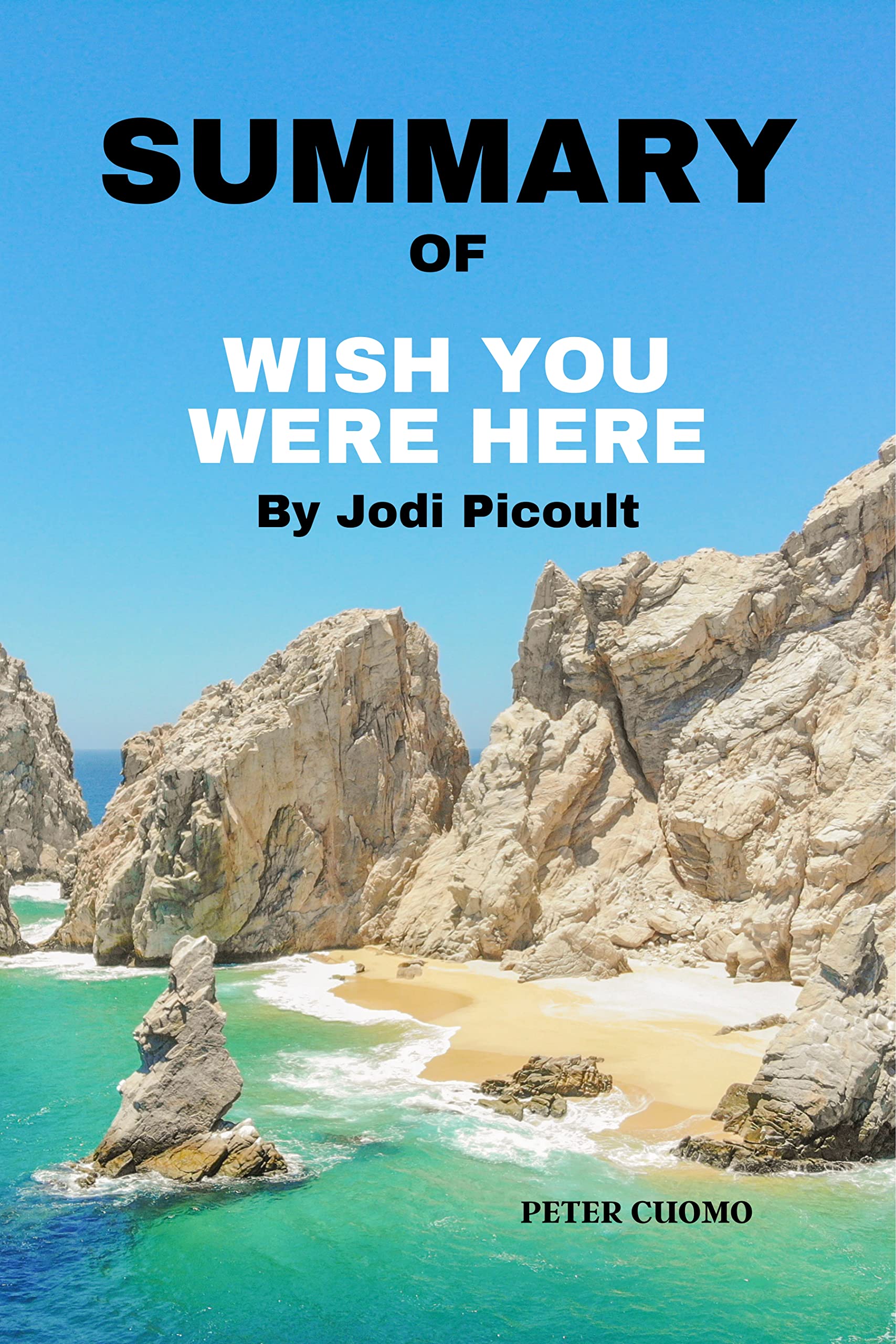 Summary of Wish You Were Here by Jodi Picoult: Wish You Were Here Book ...