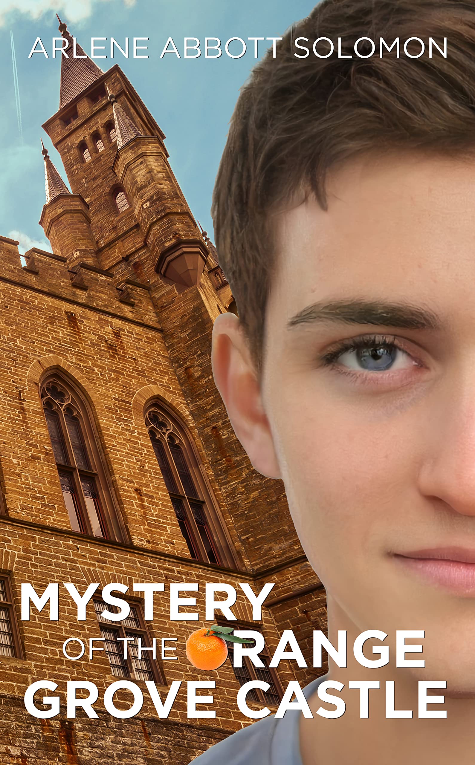 Mystery of the Orange Grove Castle by Arlene Abbott Solomon | Goodreads