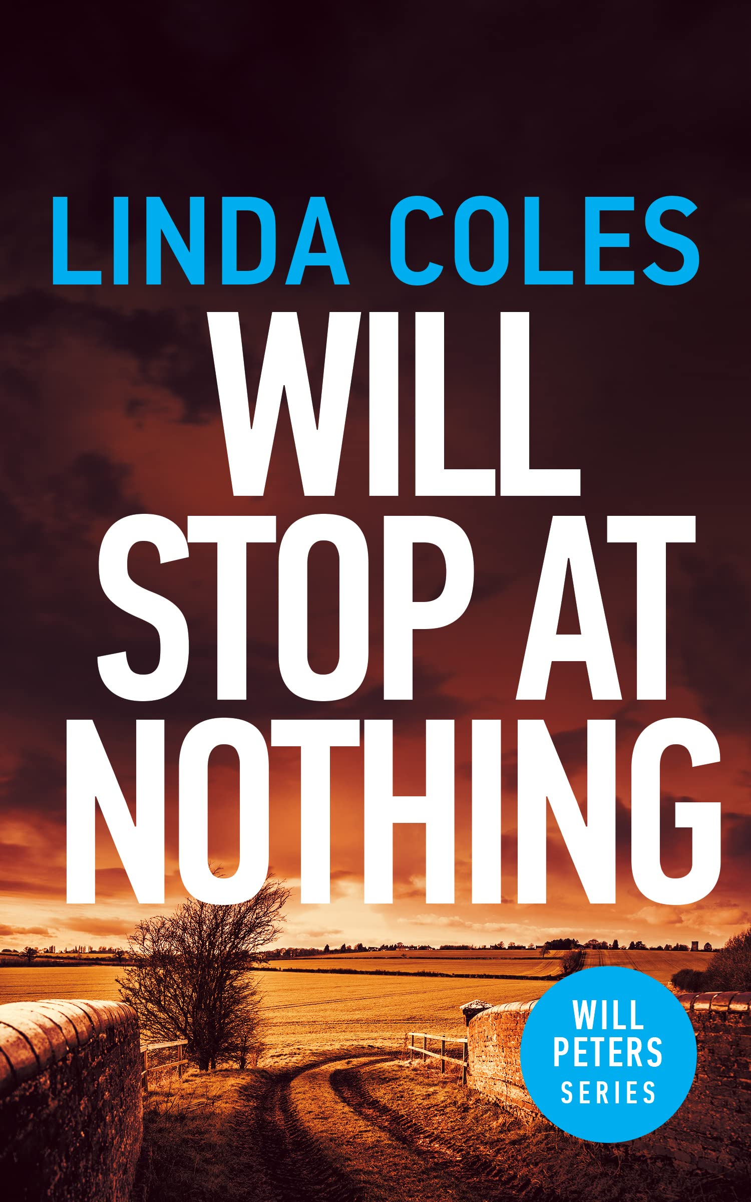 Will Stop At Nothing (Will Peters) by Linda Coles | Goodreads