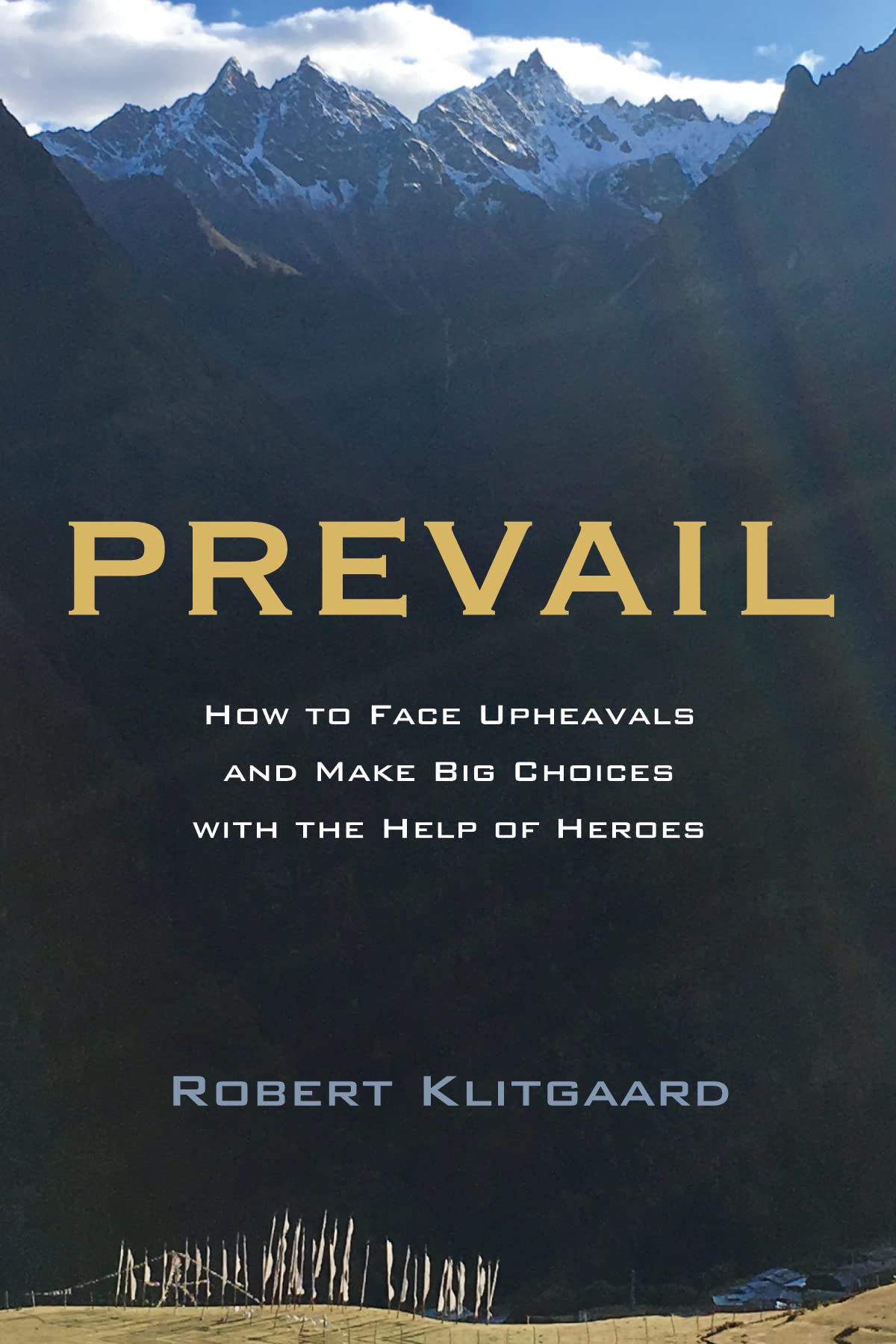 Prevail: How to Face Upheavals and Make Big Choices with the Help of ...